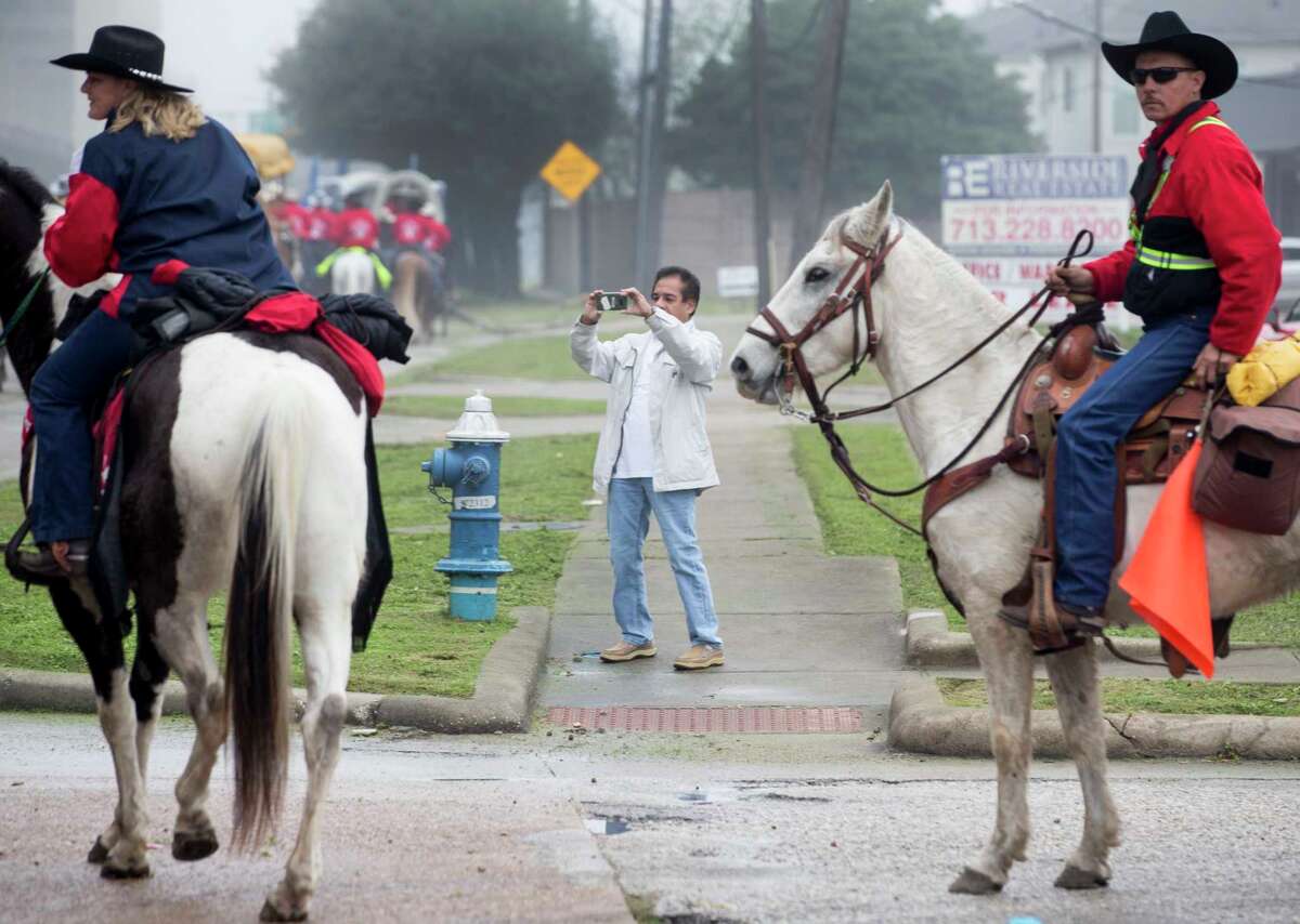 Hummer driver strikes horse in Sam Houston Trail Ride