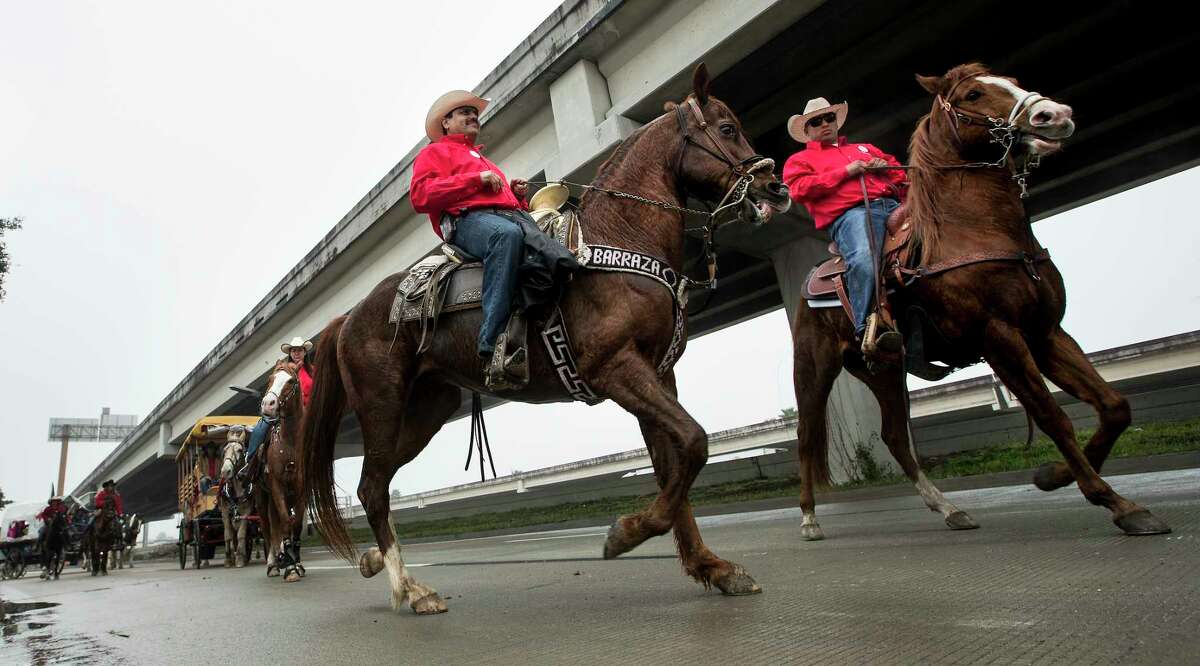 Hummer driver strikes horse in Sam Houston Trail Ride
