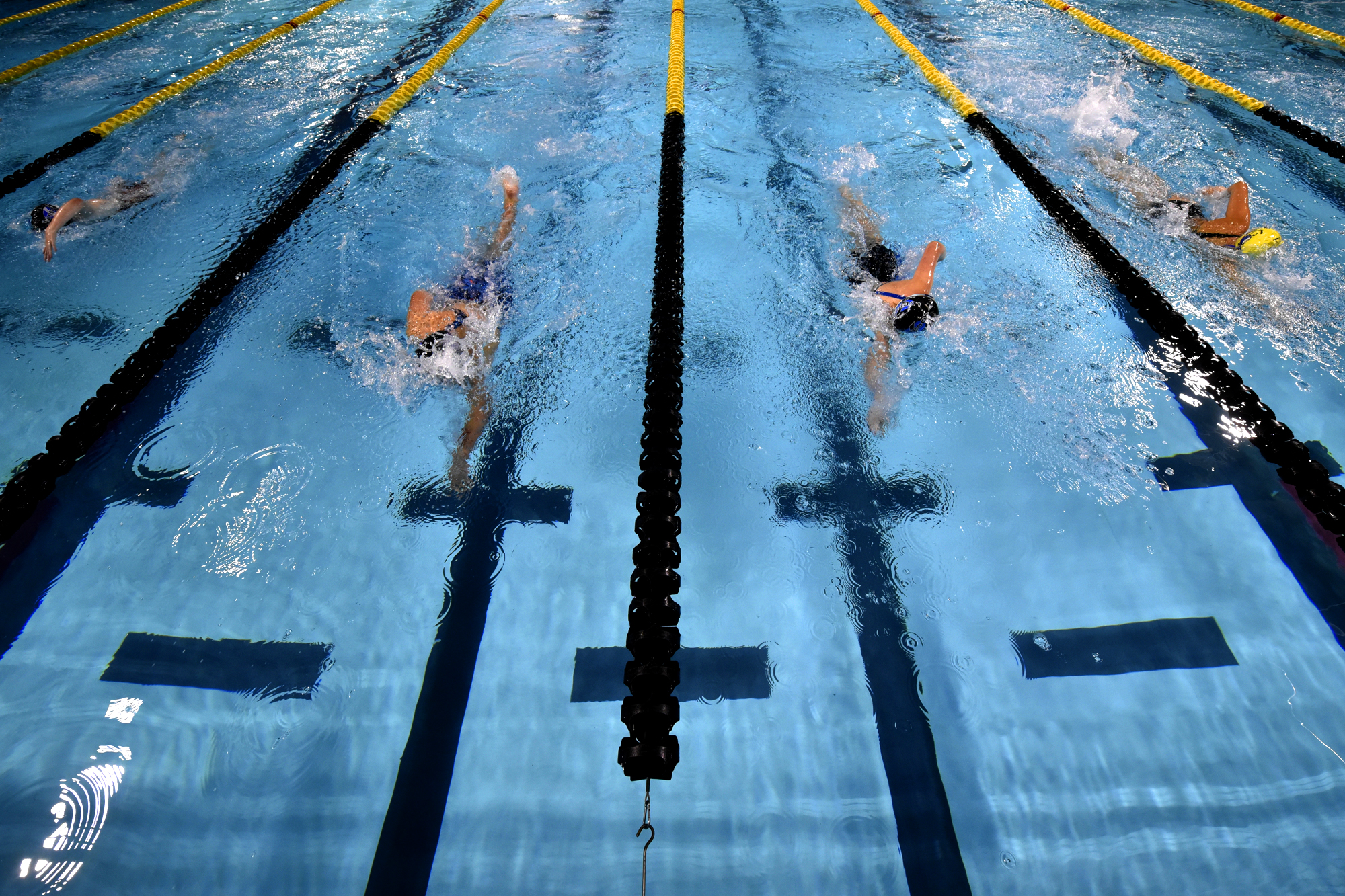 Photos: West Texas Championships swim meet - Midland Reporter-Telegram