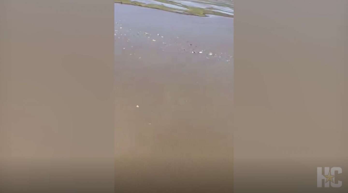 Photos released of 2 recovered crew members killed in Amazon Air cargo ...