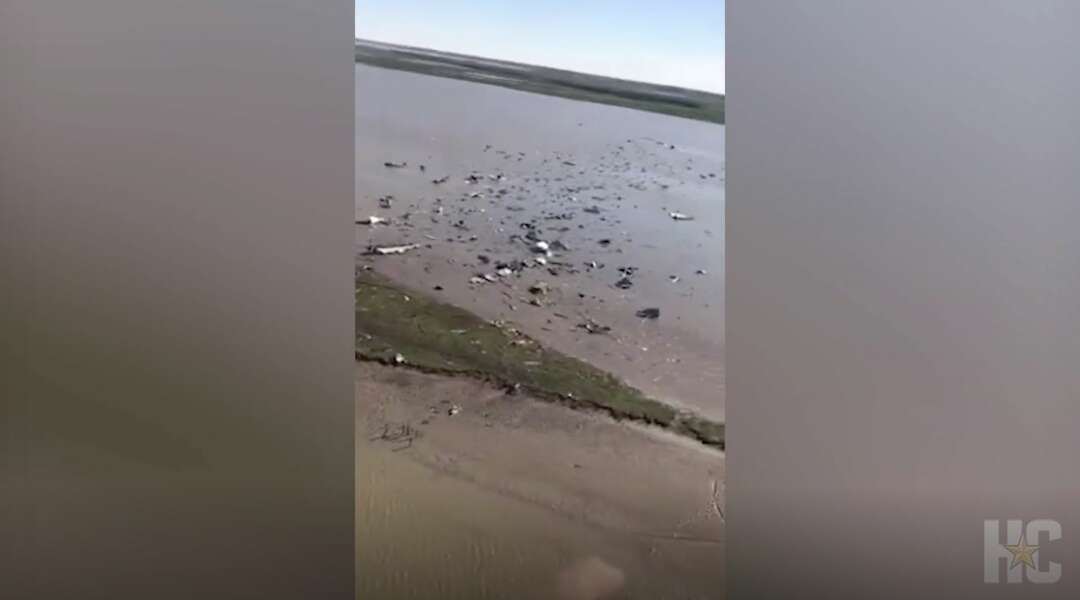 Photos released of 2 recovered crew members killed in Amazon Air cargo ...