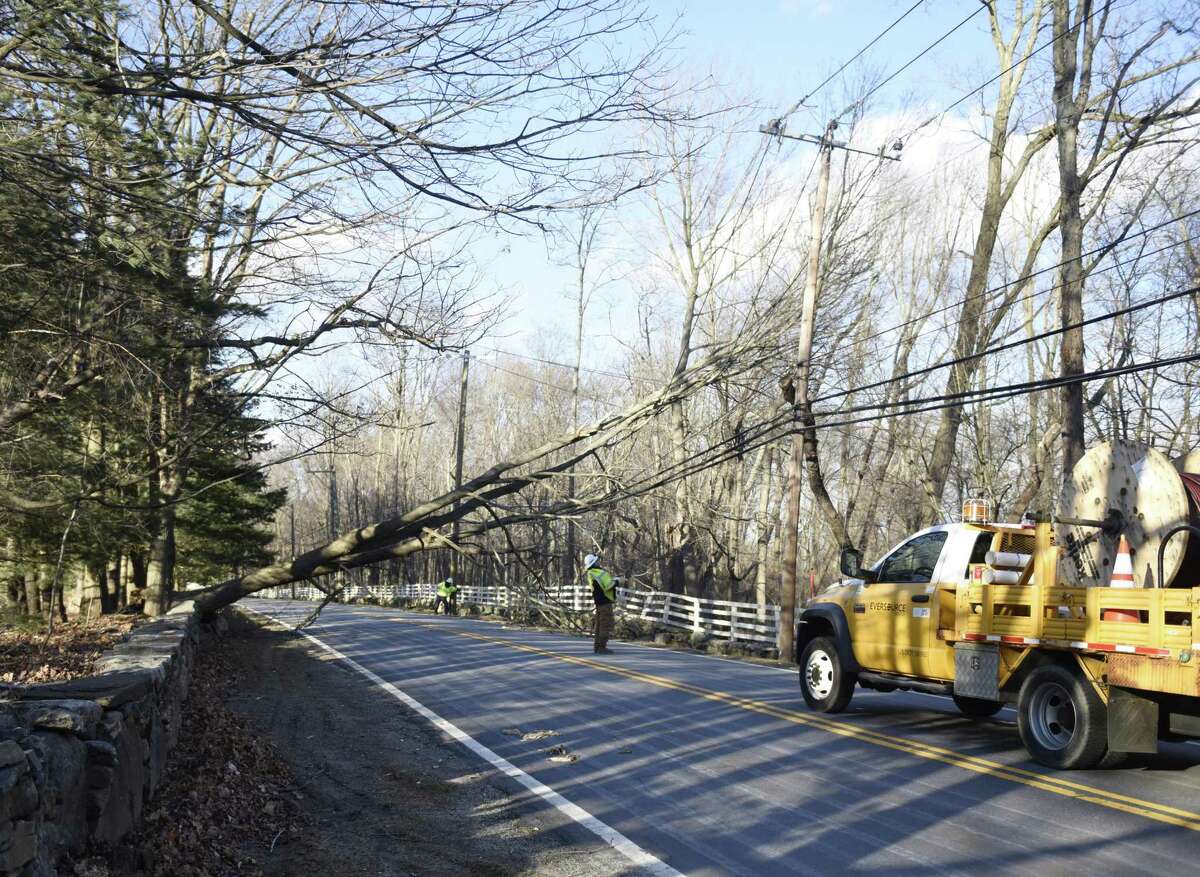 Downed Trees Cause Problems On King North Streets