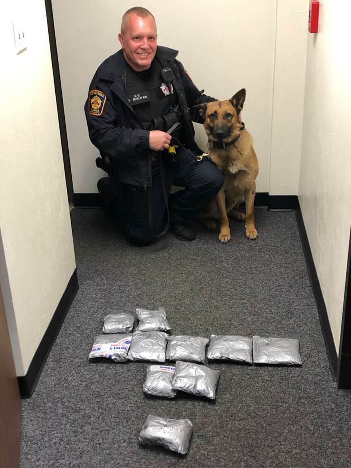 Precinct 5 Constable K-9 Drift sniffs out big drug bust
