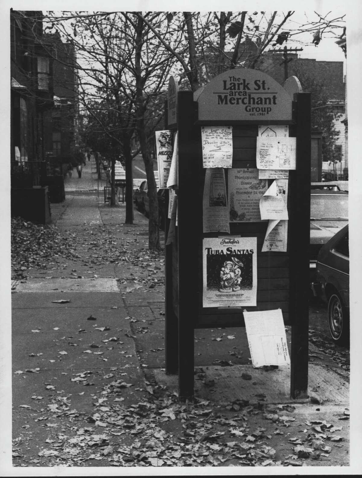 Historical photos: Lark Street