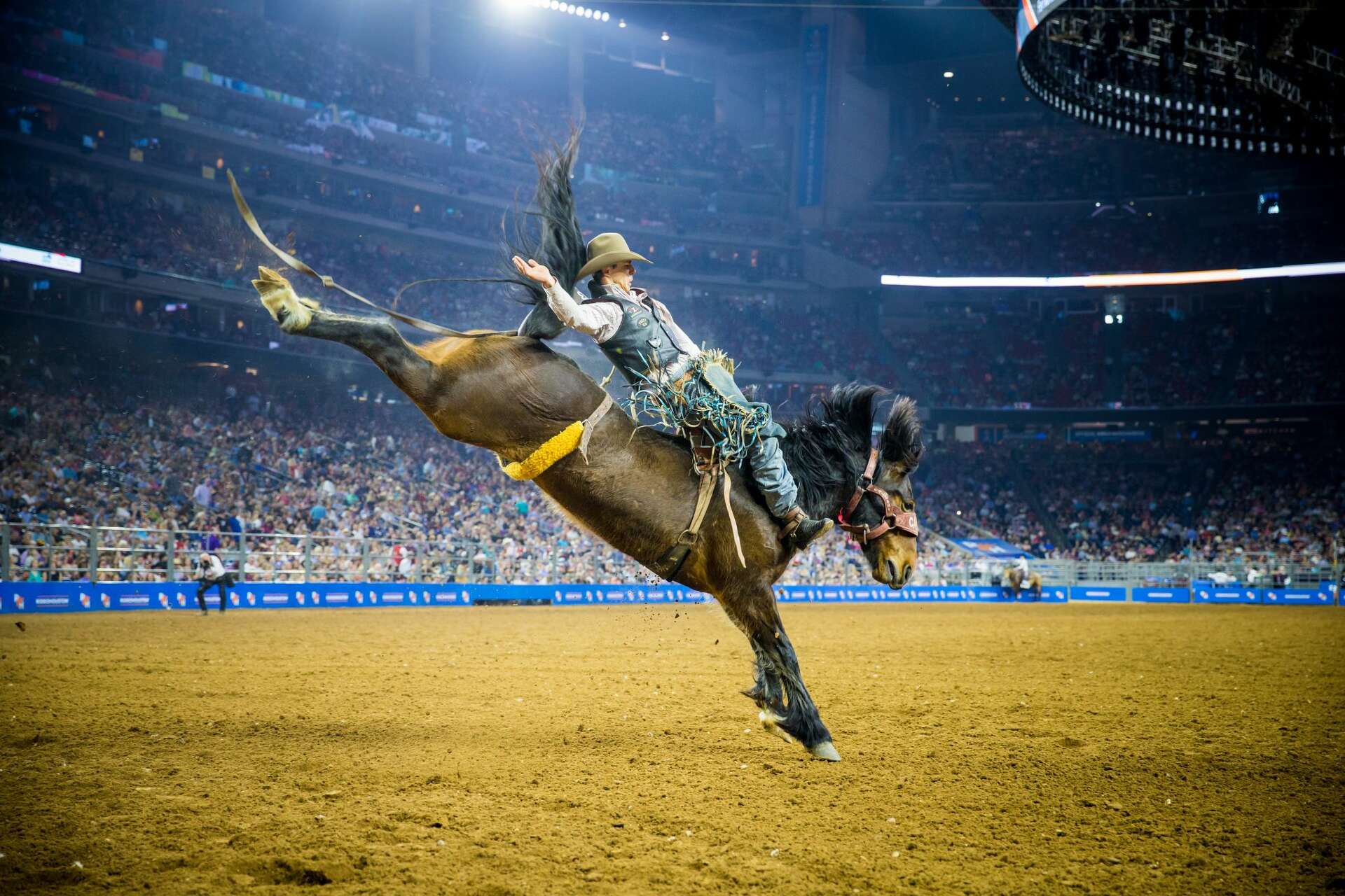 Rodeo 101: Here's your guide to understanding the events at RodeoHouston