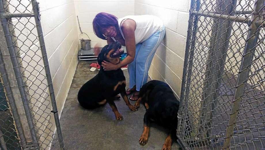 Hamden dogs on death row to go to sanctuary