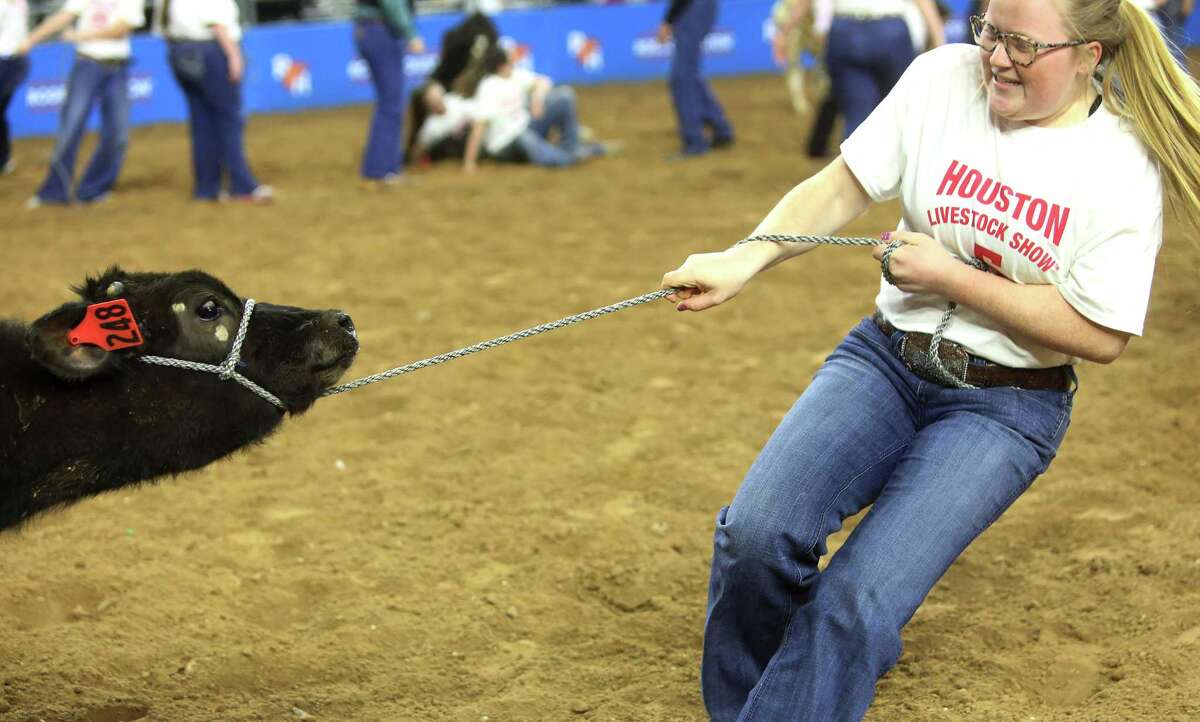 Kids scramble to catch calves and college at RodeoHouston