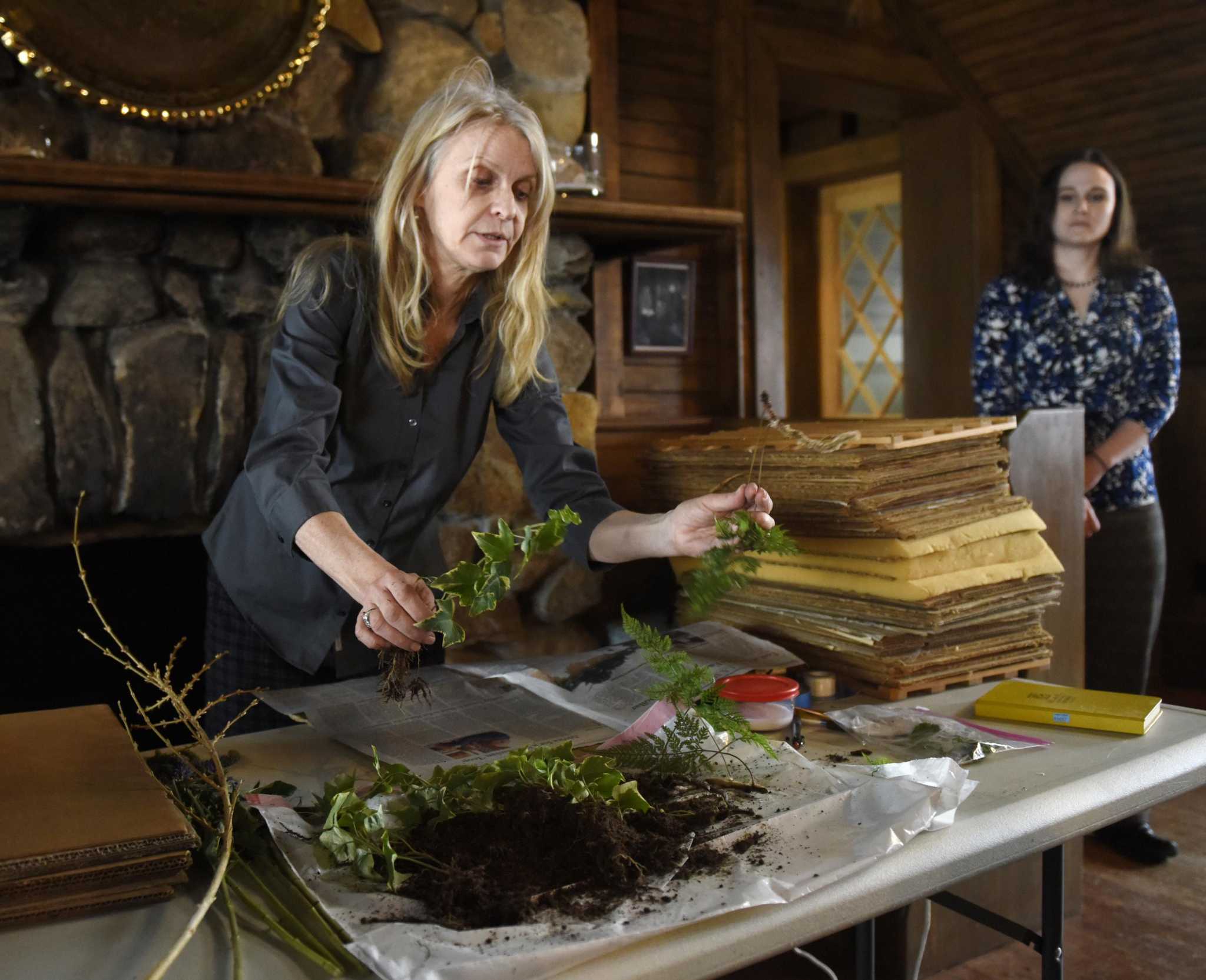 Botanists explore art and science of flowers in Greenwich