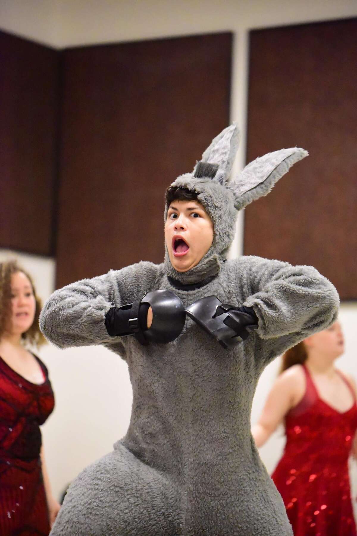 Peggie Miller: Class Act presents ‘Shrek, the Musical’ this weekend