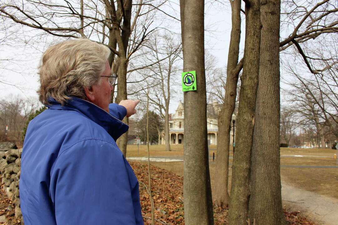 Norwalk River Valley Trail’s ‘missing link’ to get final piece