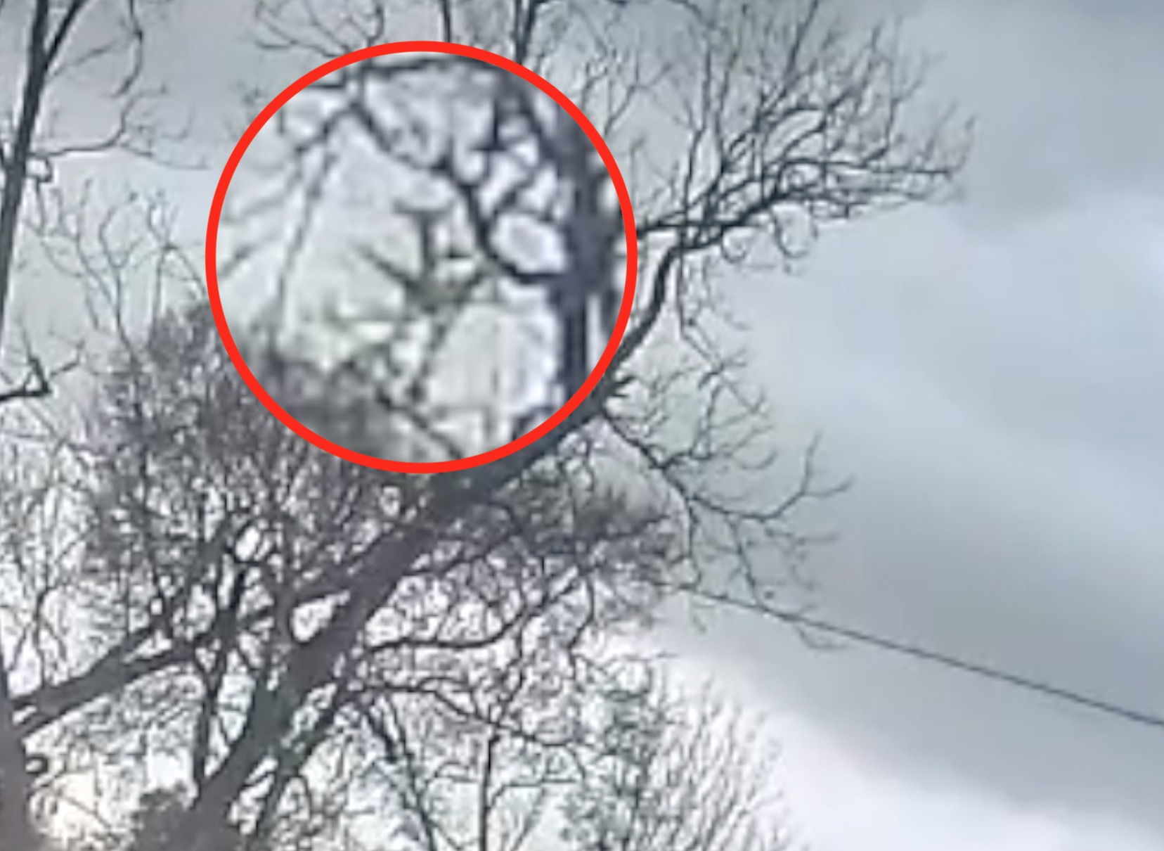 Dramatic video shows final moments as Atlas Air jet plunges into ...