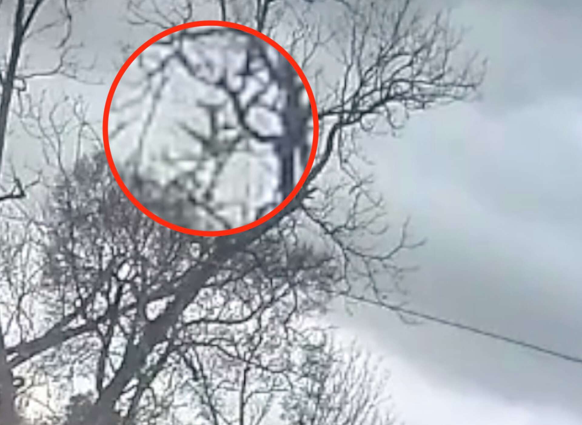Dramatic video shows final moments as Atlas Air jet plunges into ...