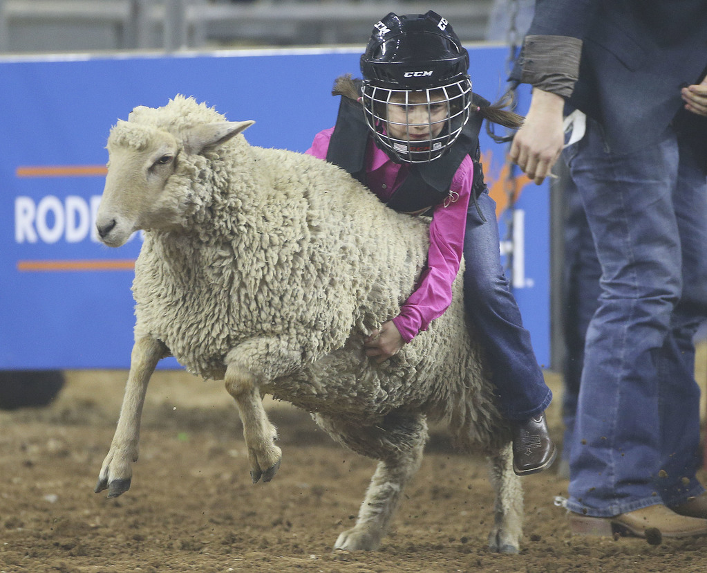 Mutton Bustin’ is baa-ck at the Houston Rodeo, registration now open