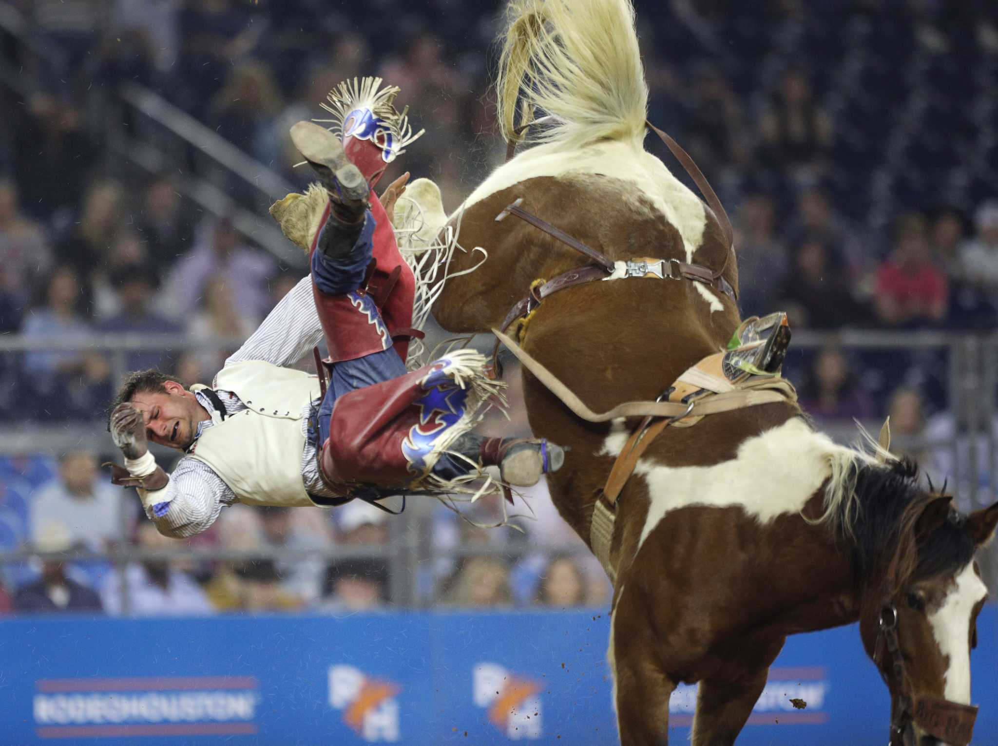 Squeamish photos show ups and downs of rodeo competition