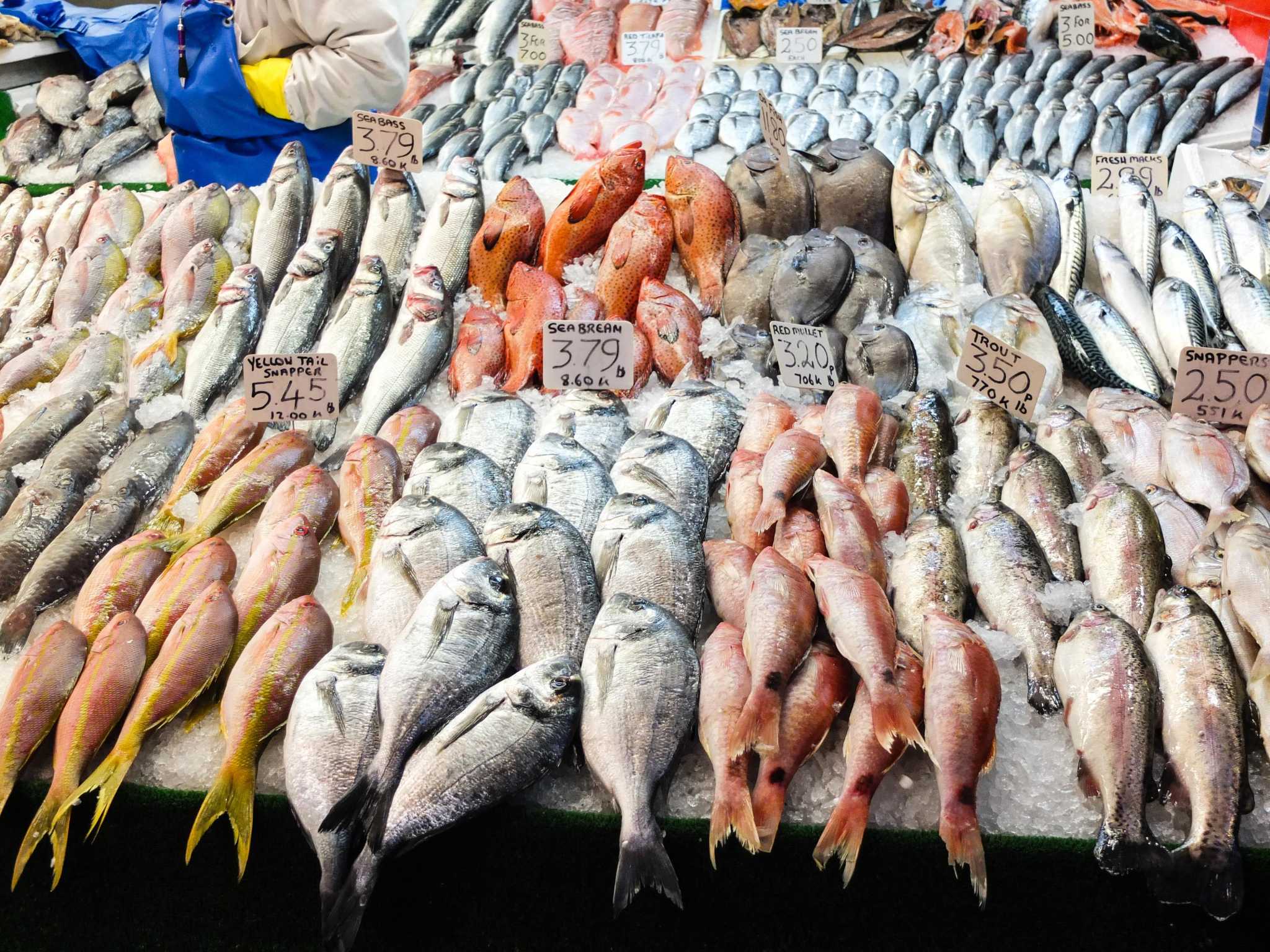 Swim into Lent with responsible fish choices for cooking