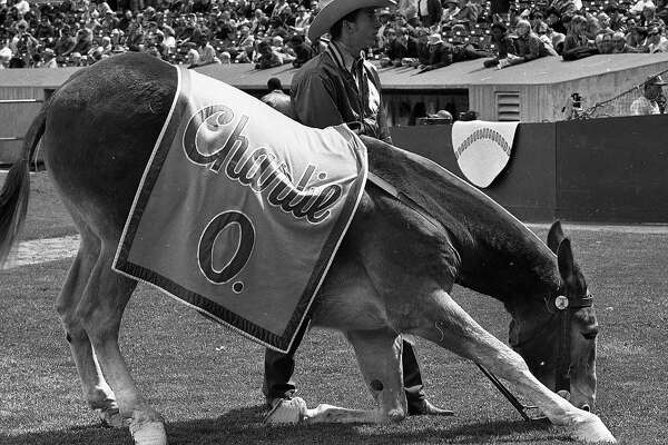 When Oakland A’s owner Charlie Finley pulled out all the stops for ...