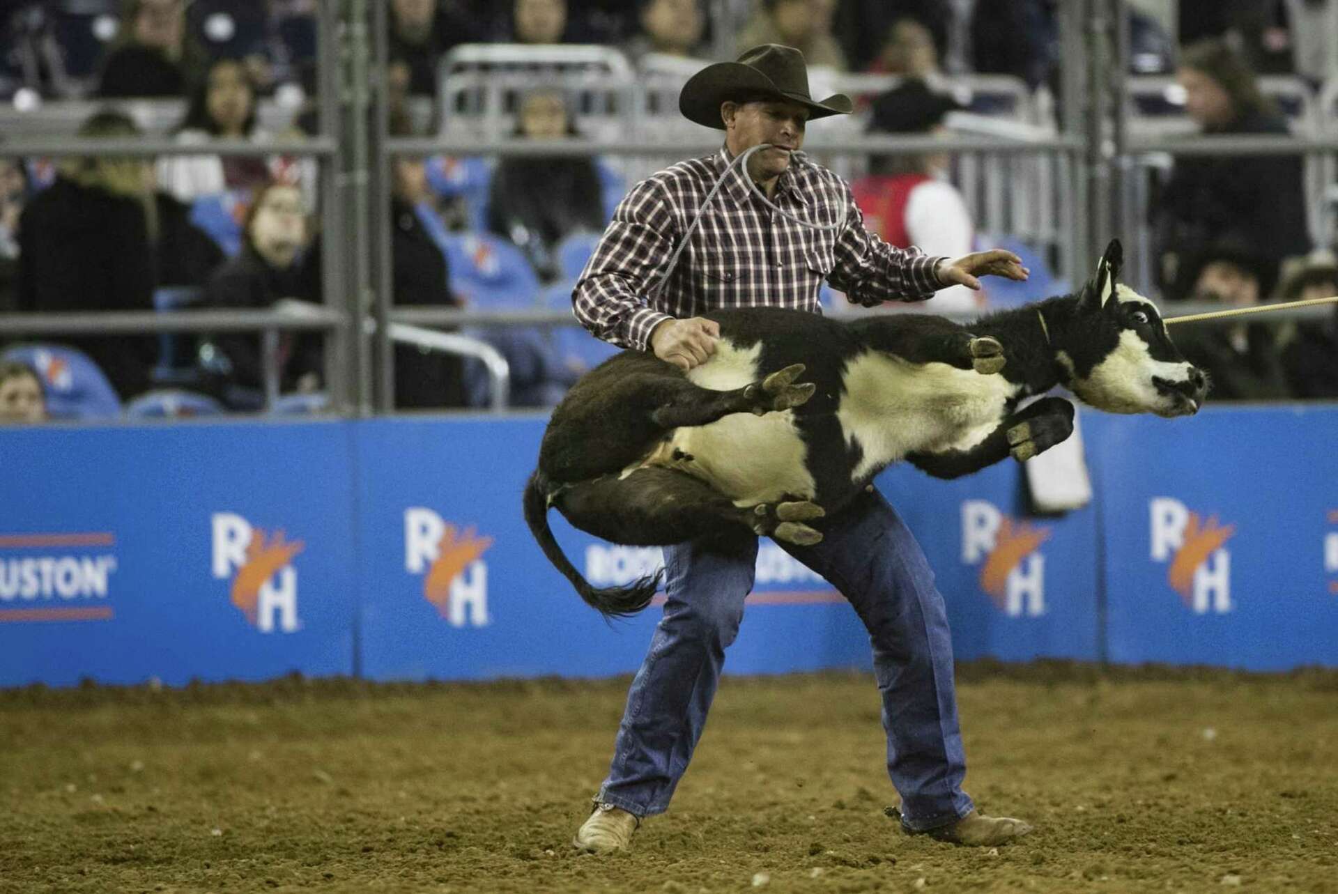 calf roping rules