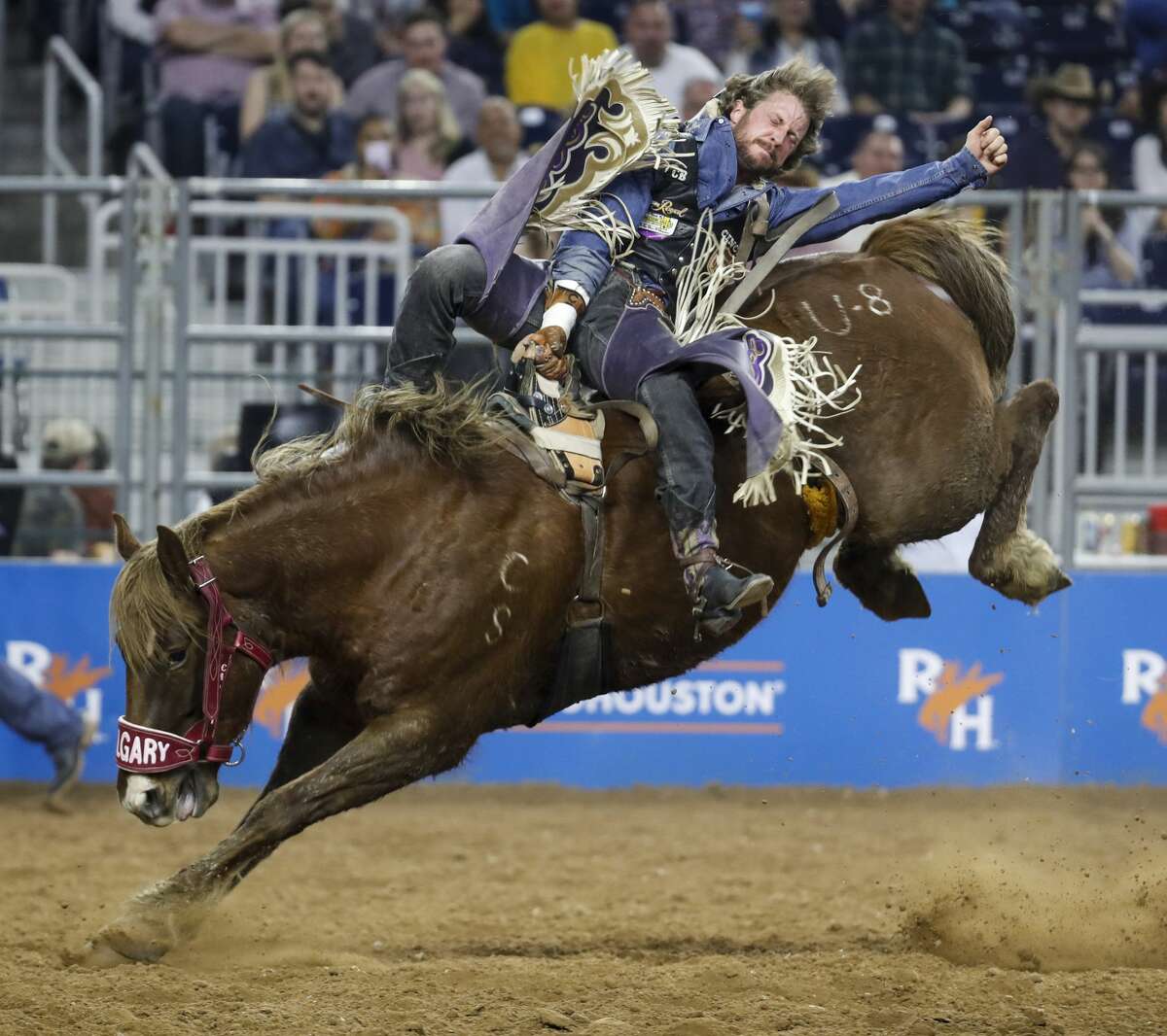Squeamish photos show ups and downs of rodeo competition