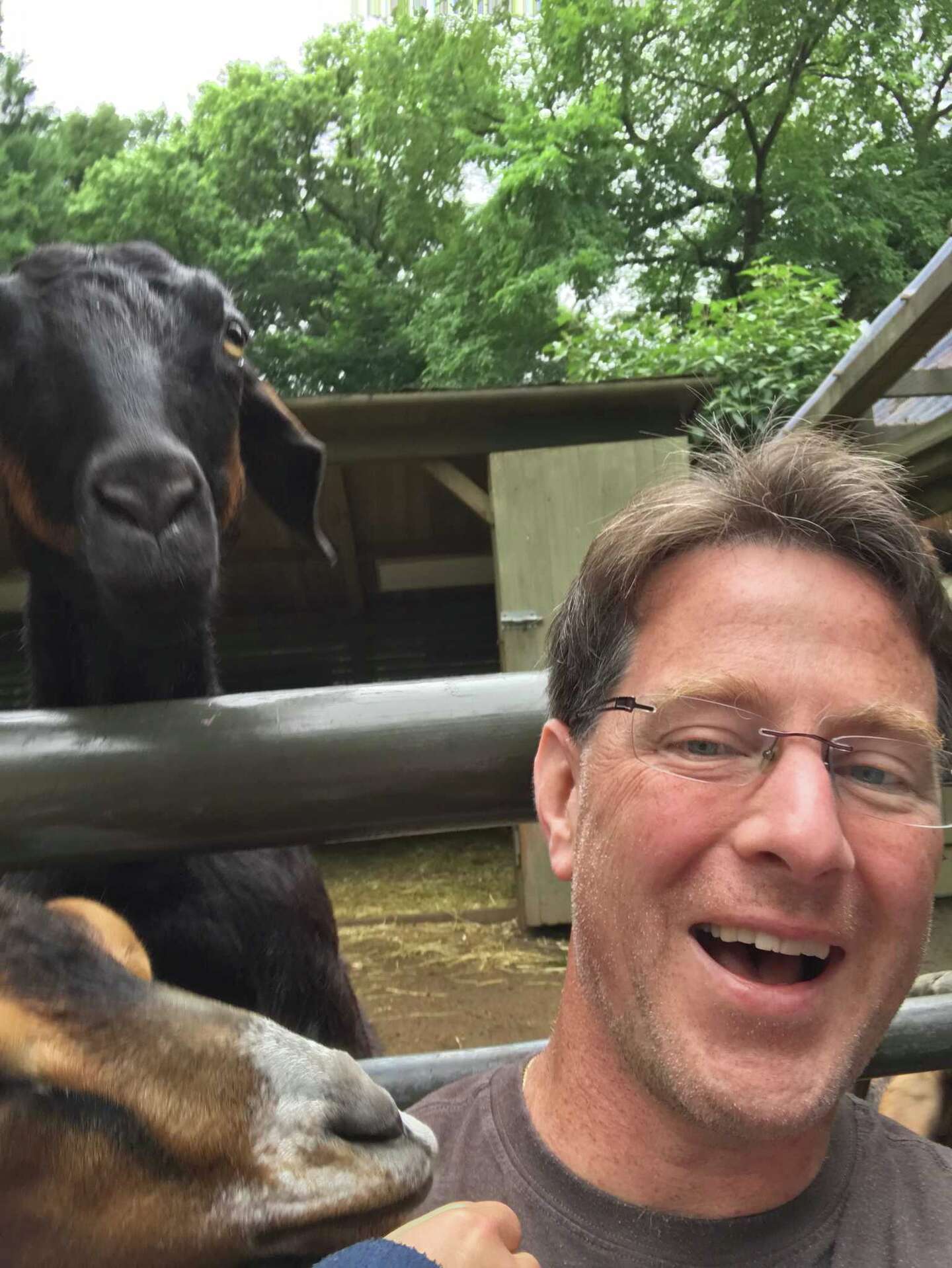 Music, the ultimate brainpower