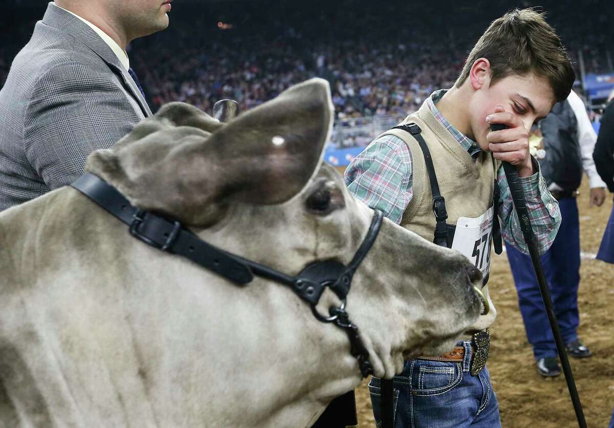Top steer picked in ‘Super Bowl of all livestock shows’