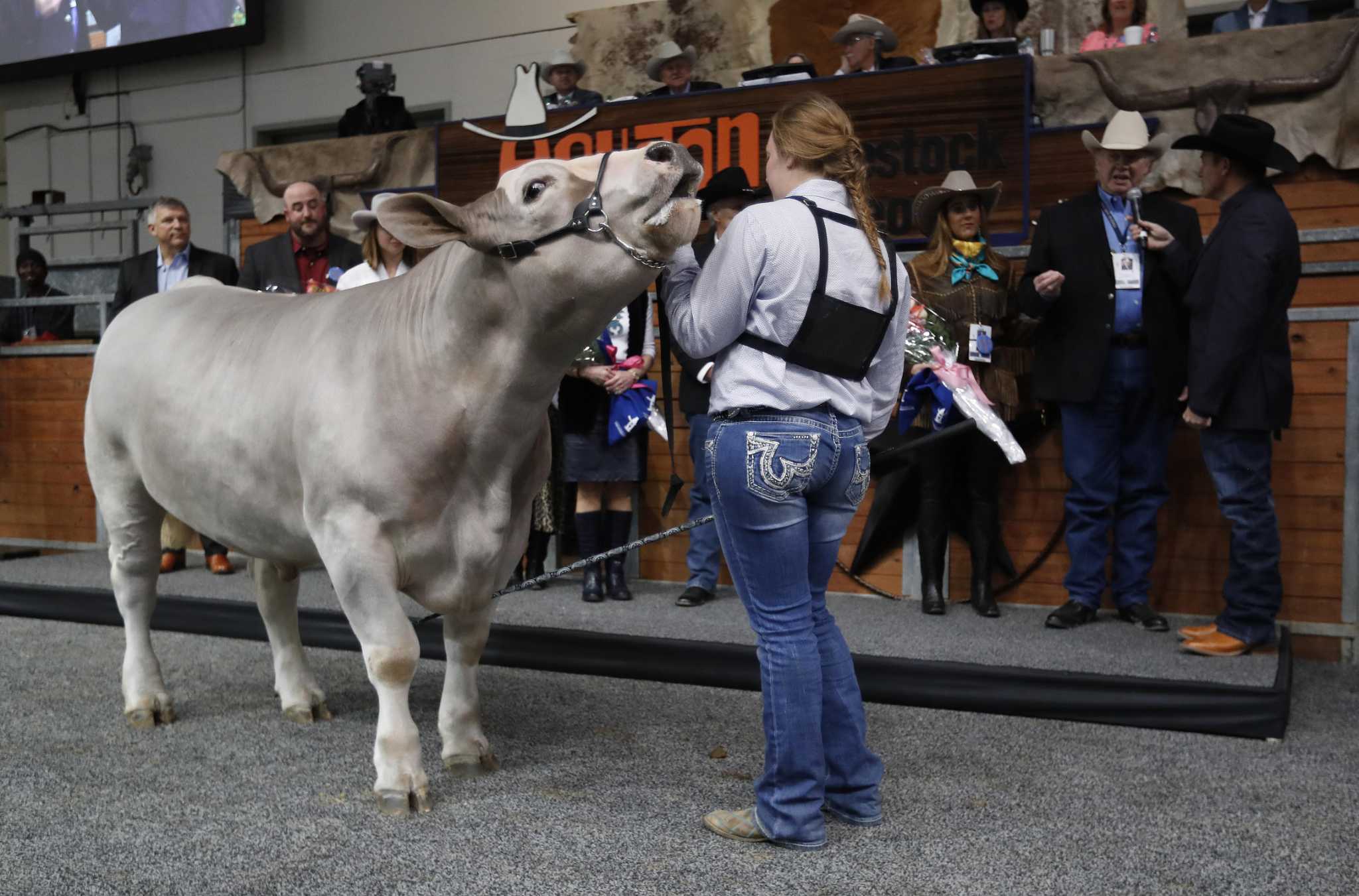 Record falls as top steer takes center stage at Houston Rodeo