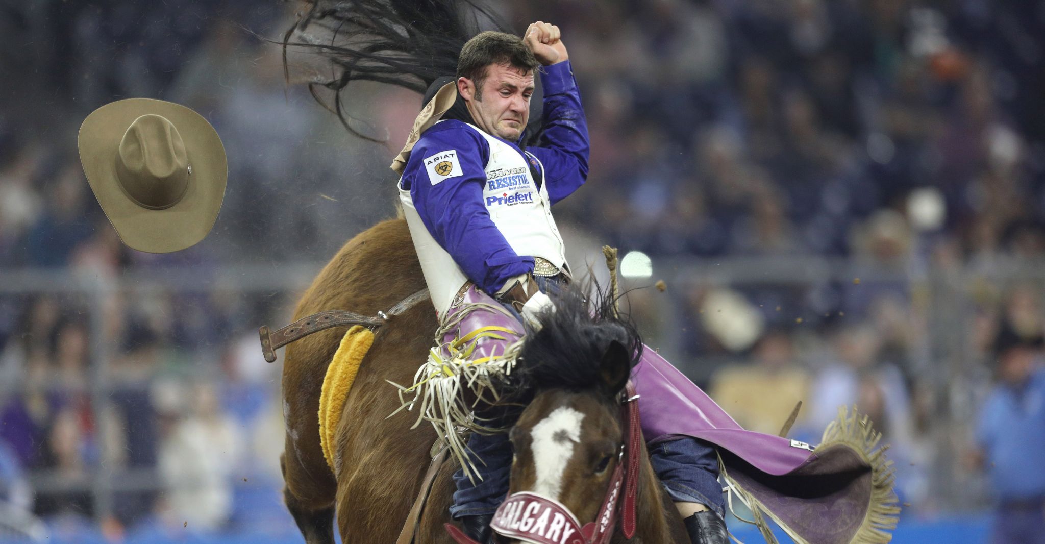 Kaycee Fields Rodeo Champion