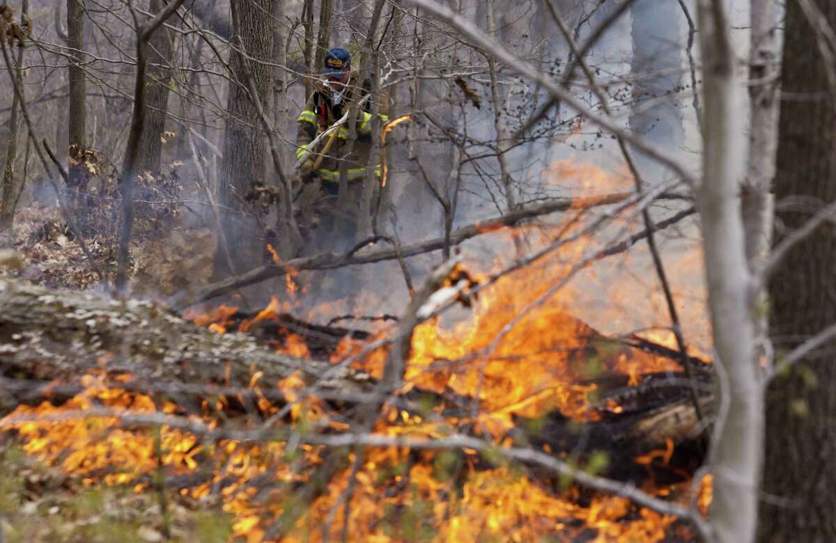 Forest fire danger high across CT