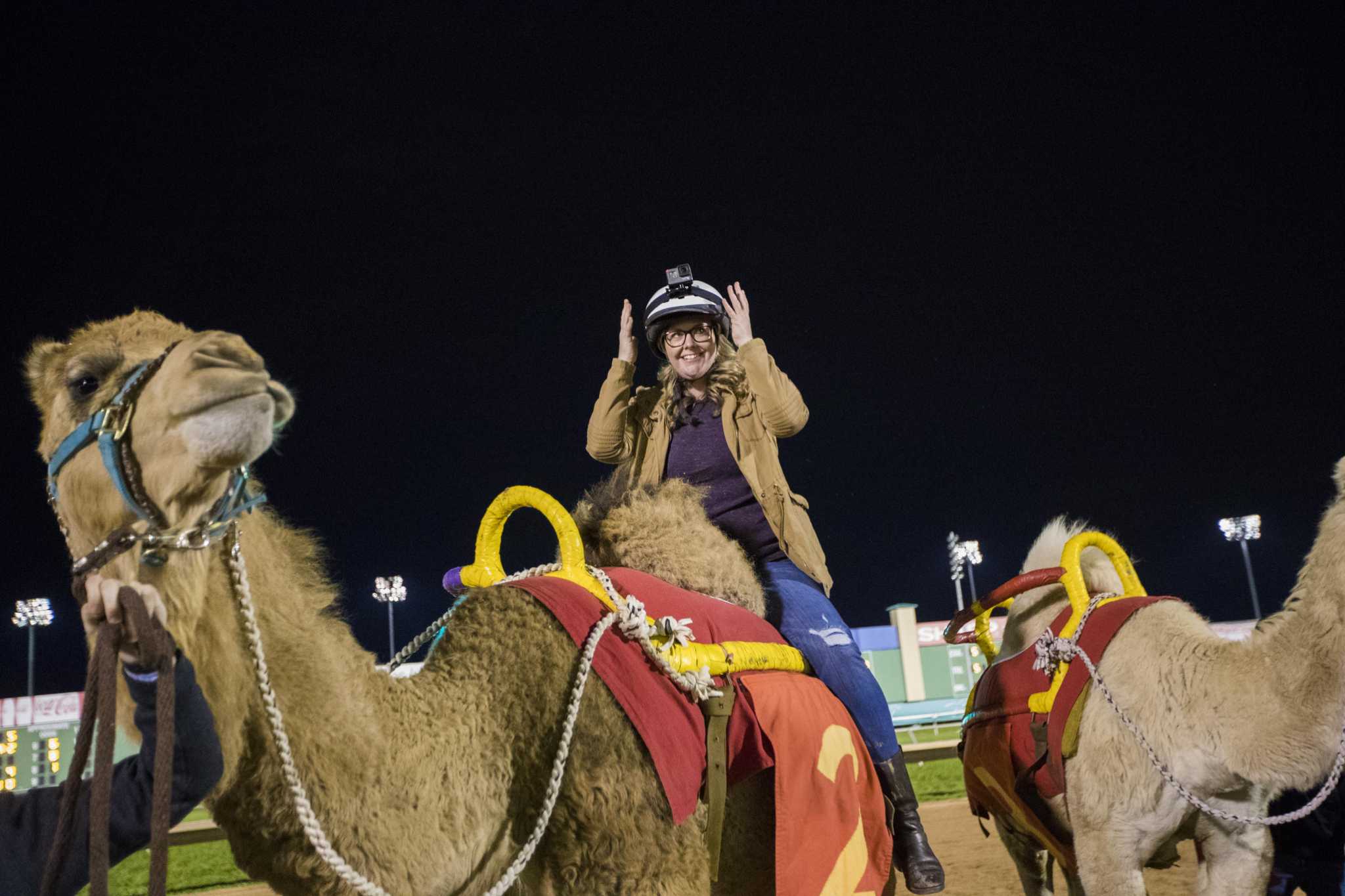 How hard can camel racing be, anyway?