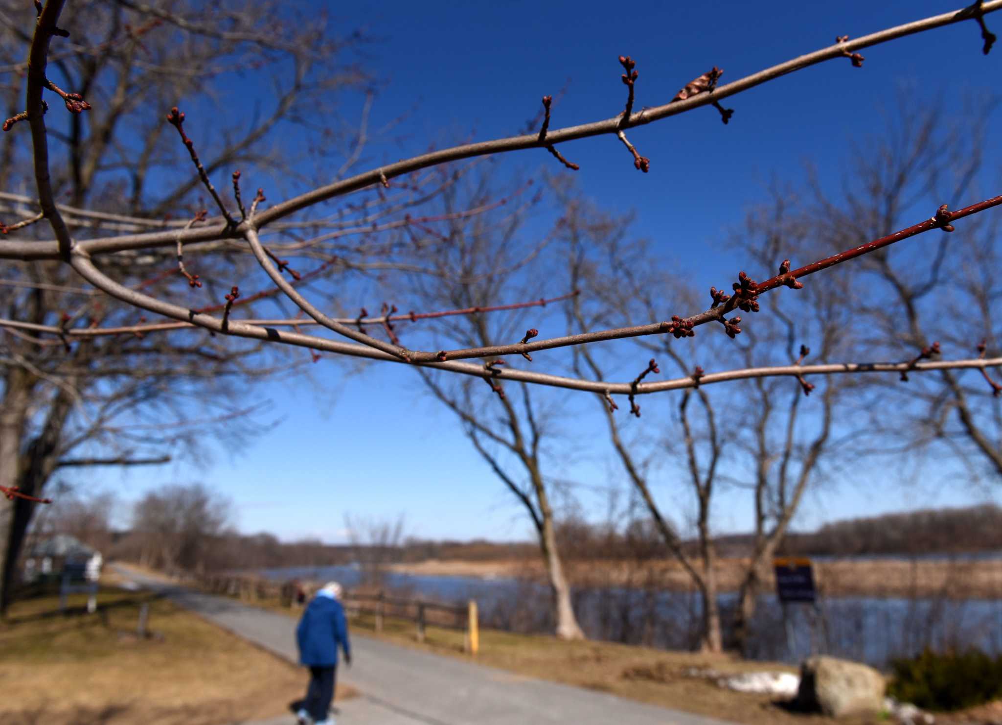 Dreary days of rain, light snow kick off spring