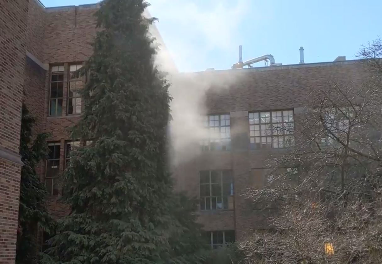 Cliff Mass: Pollen storm hits Western Washington