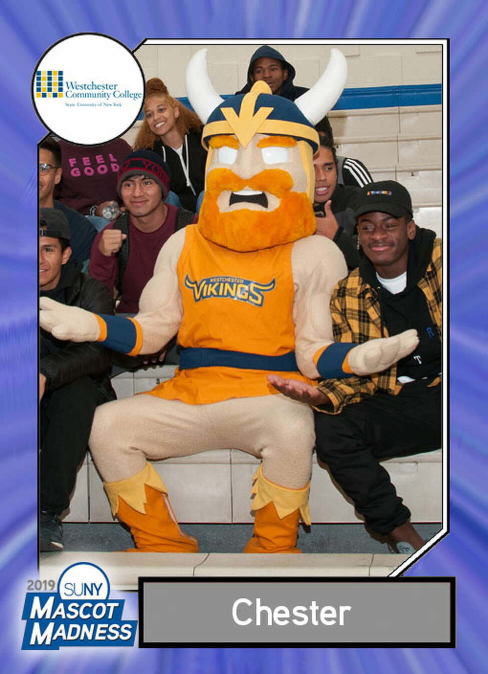 2019 SUNY Mascot Madness: The competitors