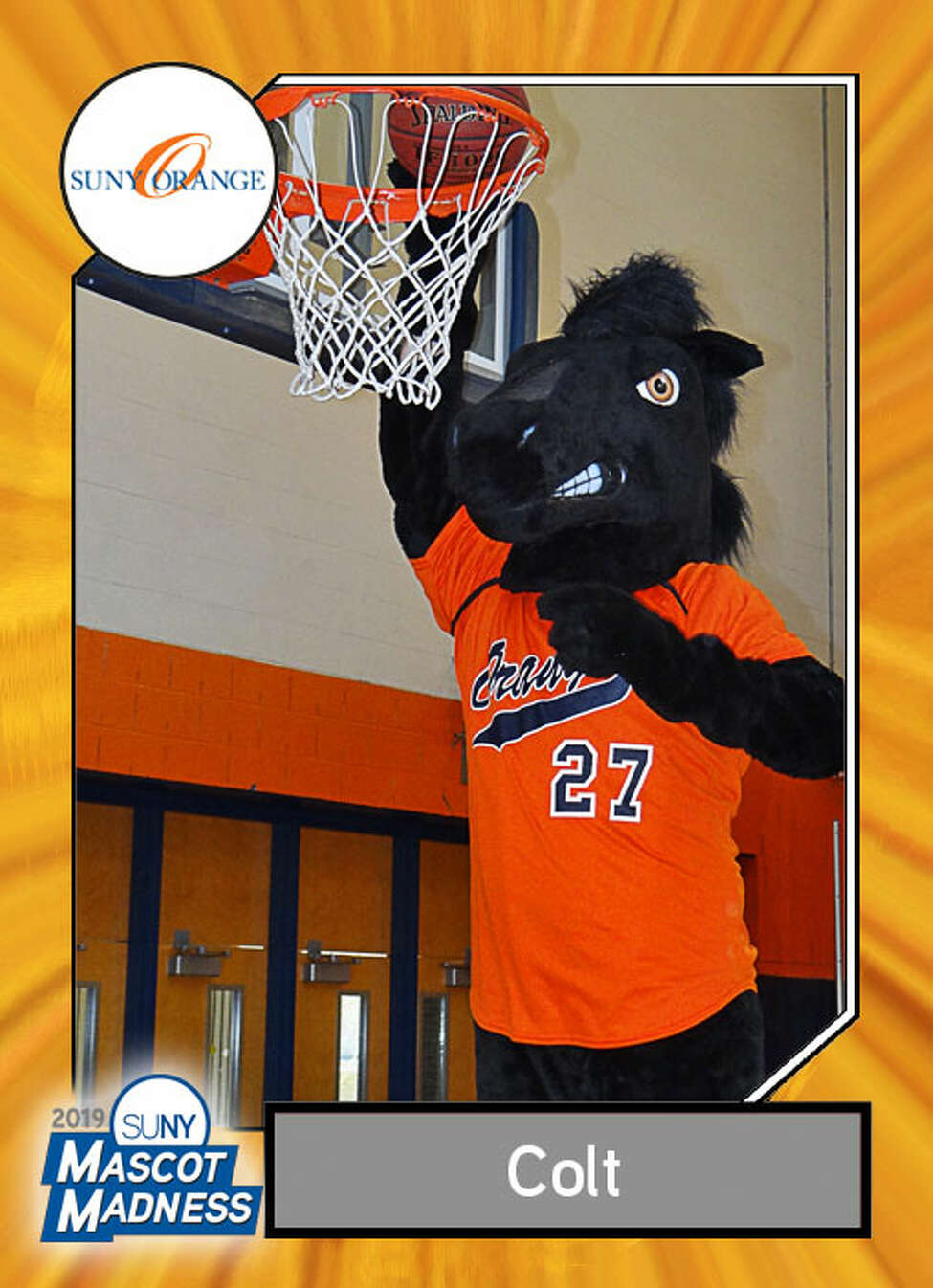 2019 SUNY Mascot Madness: The competitors