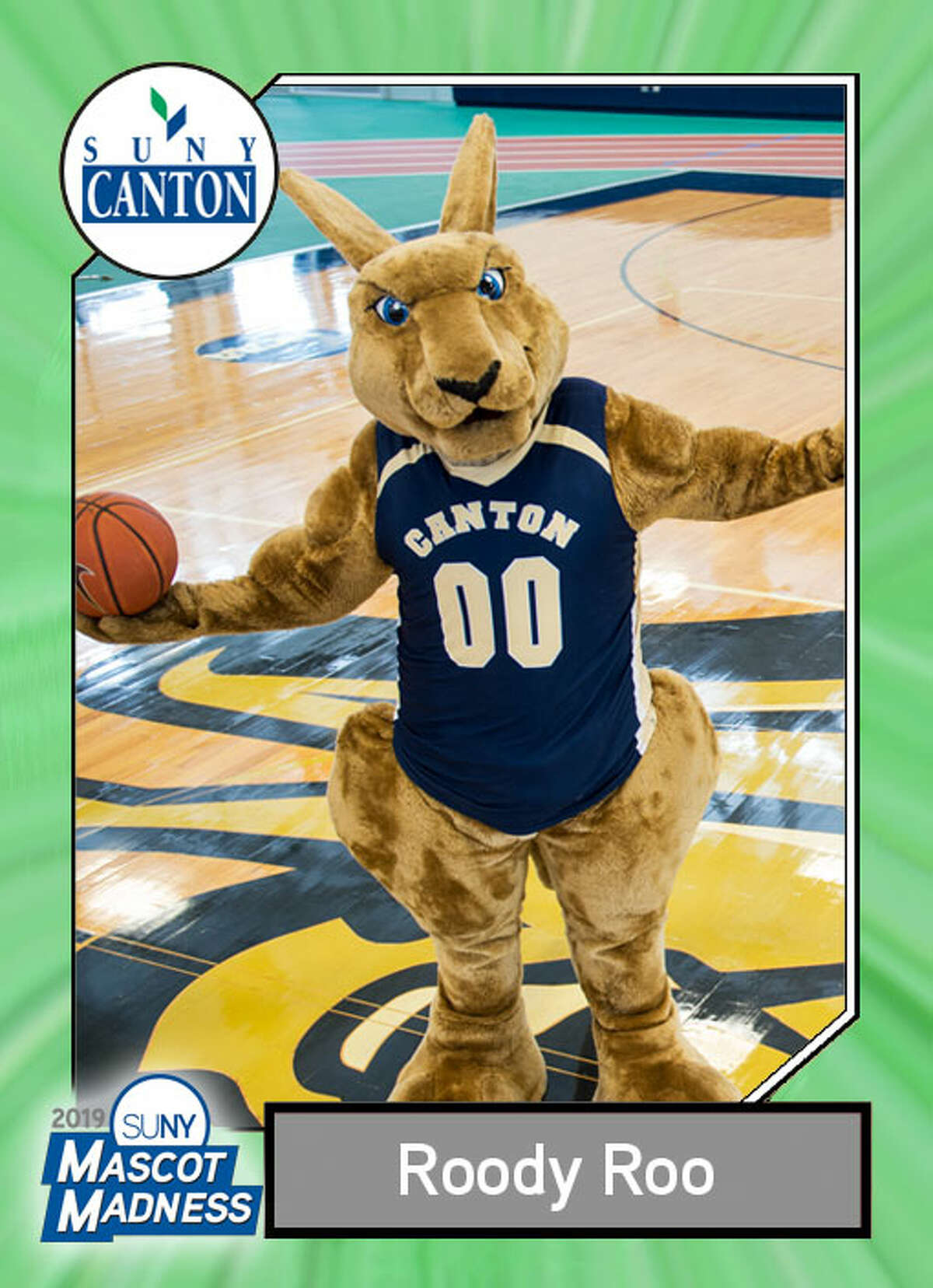2019 SUNY Mascot Madness: The competitors