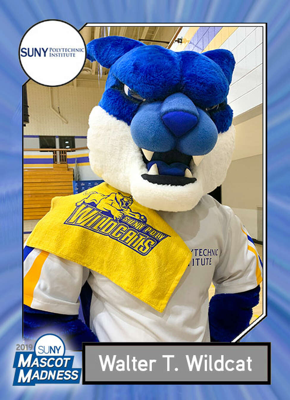 Help SUNY Empire choose a mascot