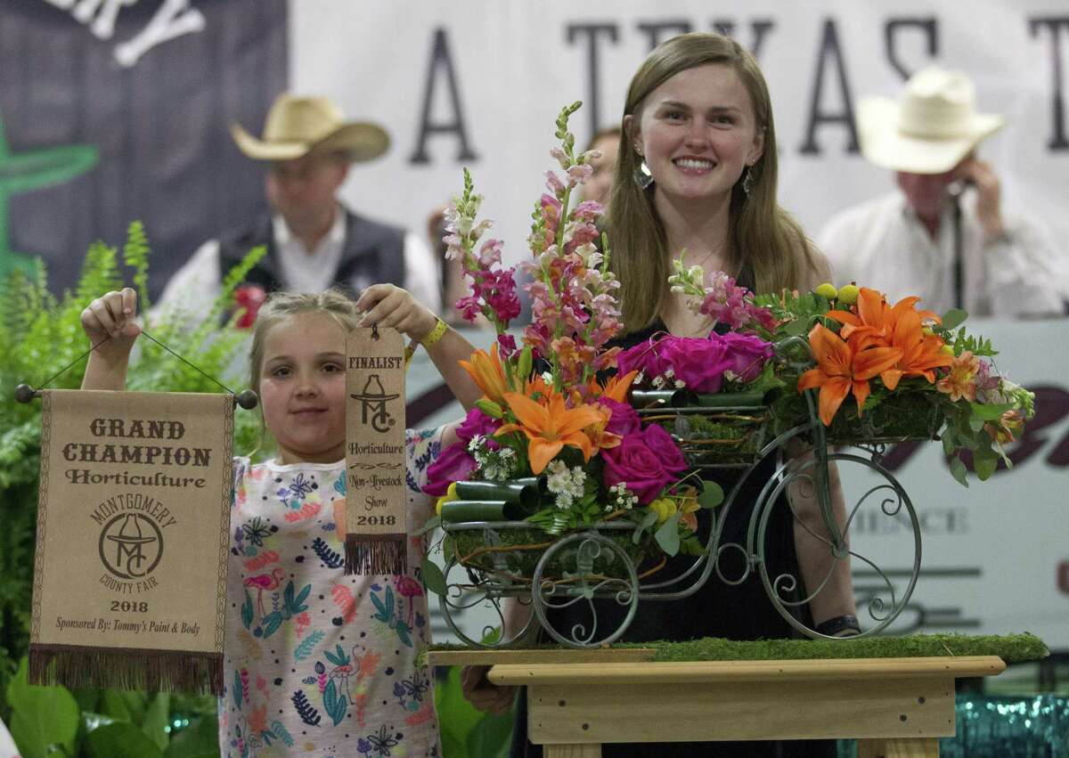 Hundreds of competitors enter 2019 Junior Nonlivestock Show at ...