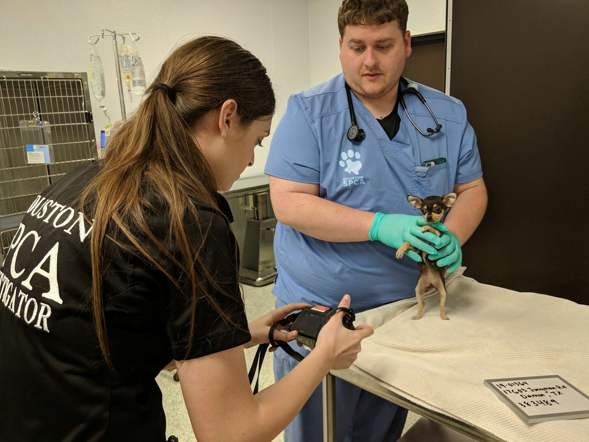 76 dogs, puppies found stacked in cages rescued from Needville property