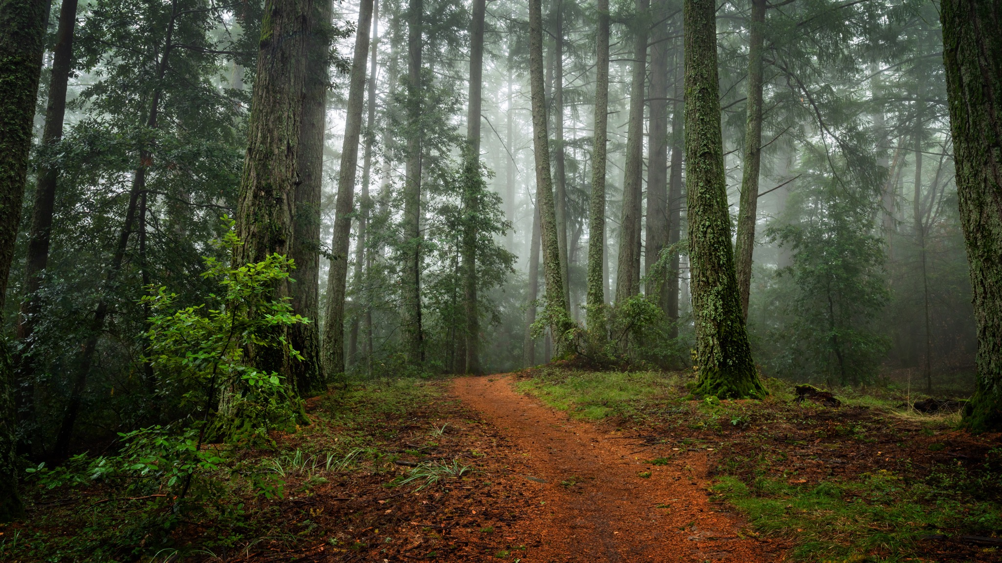 The healthiest counties in California