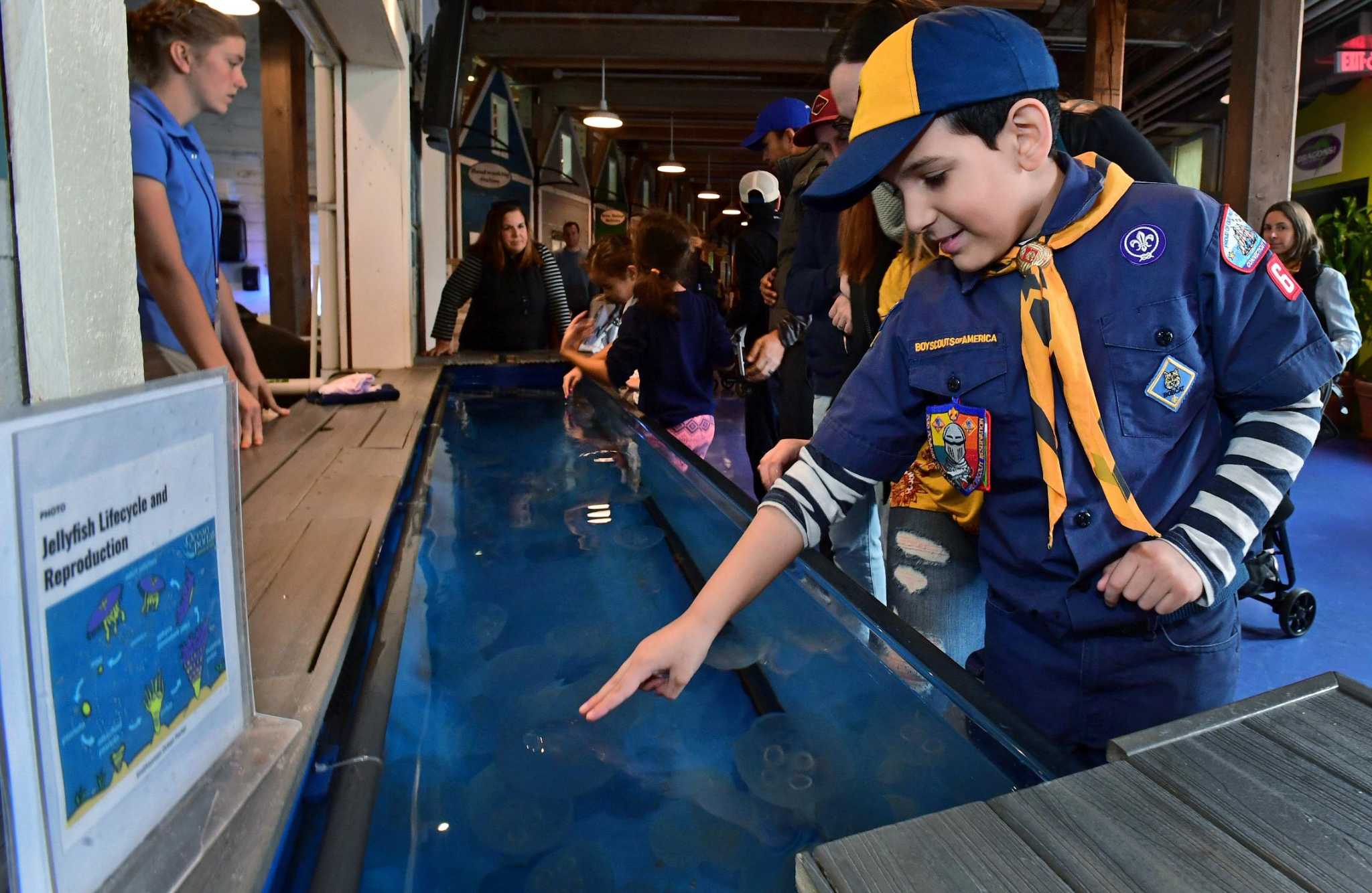 Hands-on learning during Scout Day at The Maritime Aquarium