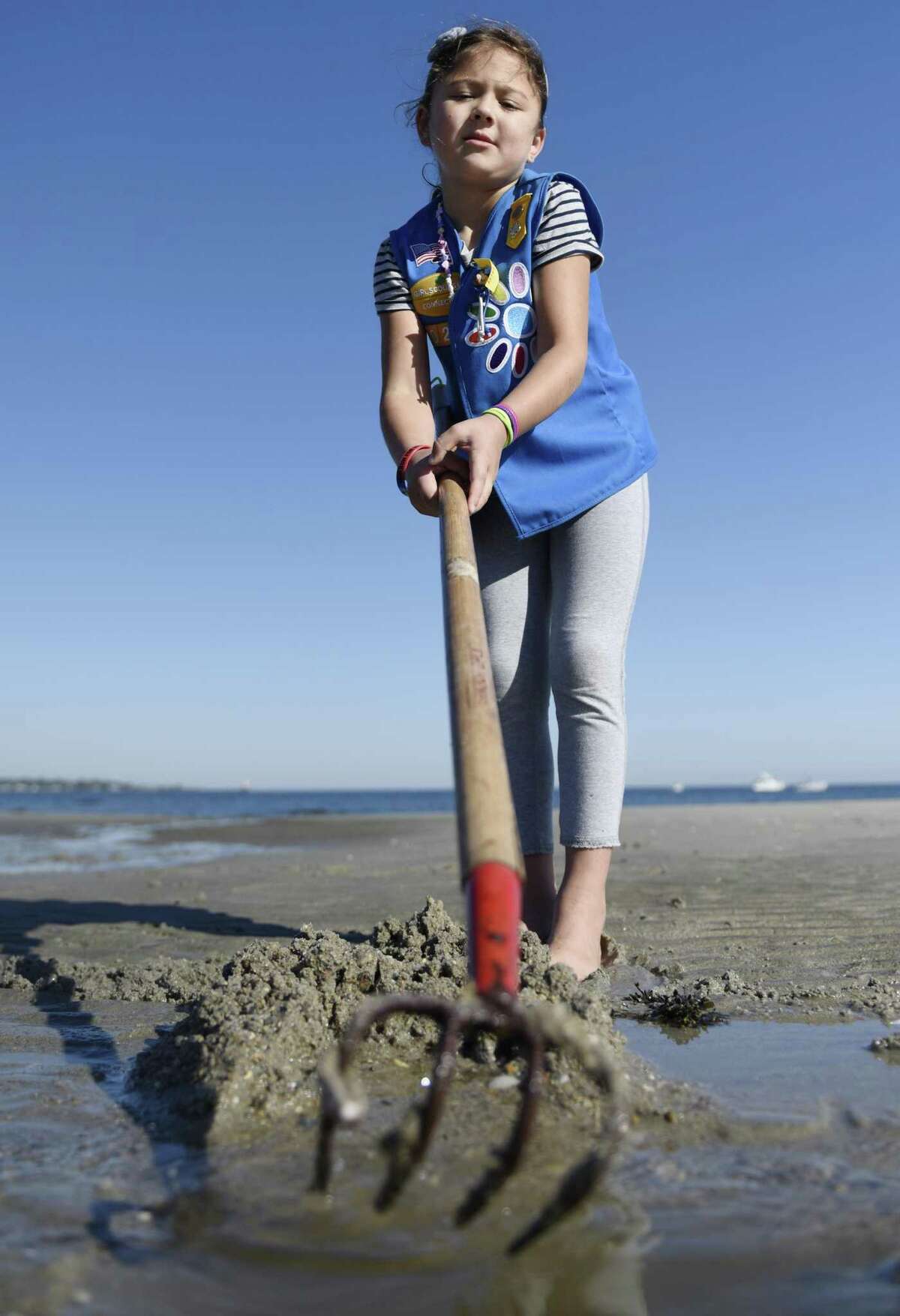 Dive into shellfishing at demonstration at Greenwich Point