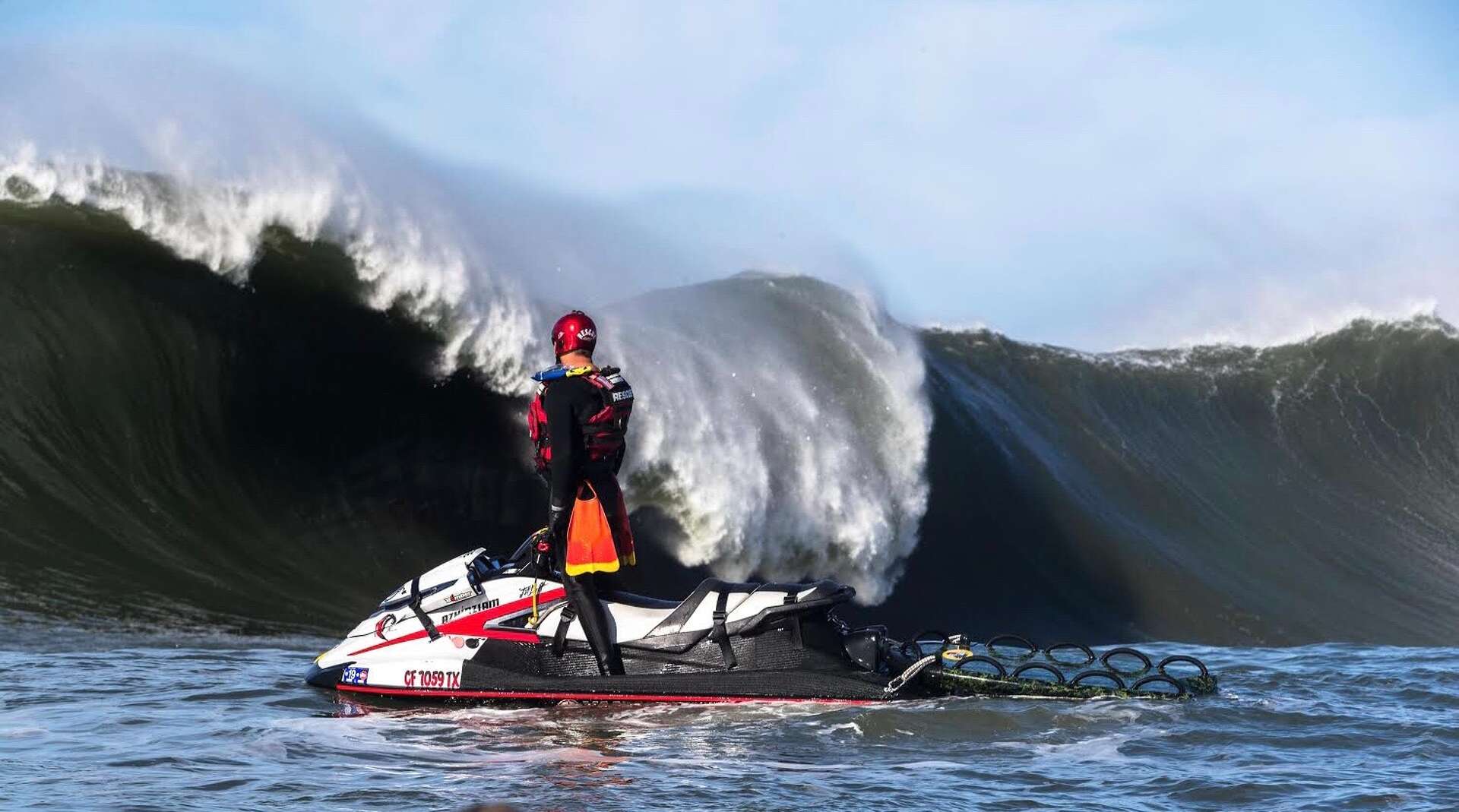 mavericks surf shark attack