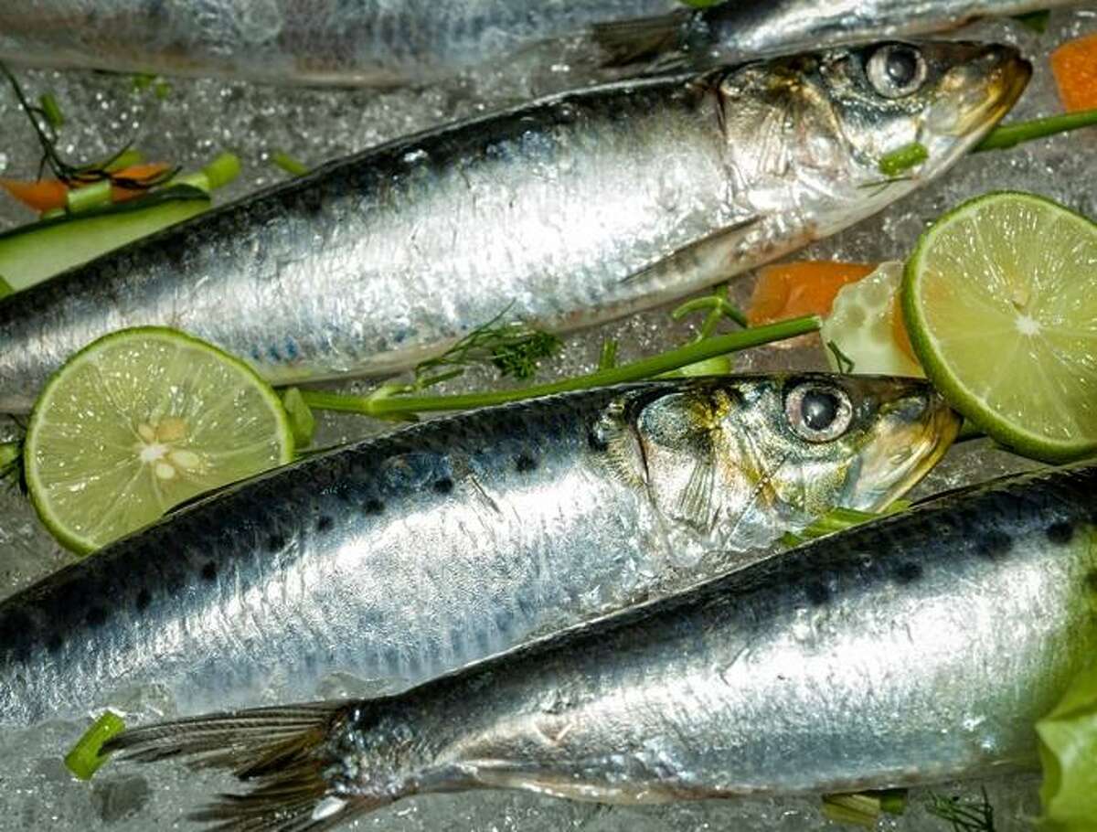 Dramatic sardine population decline means likely West Coast fishing ban