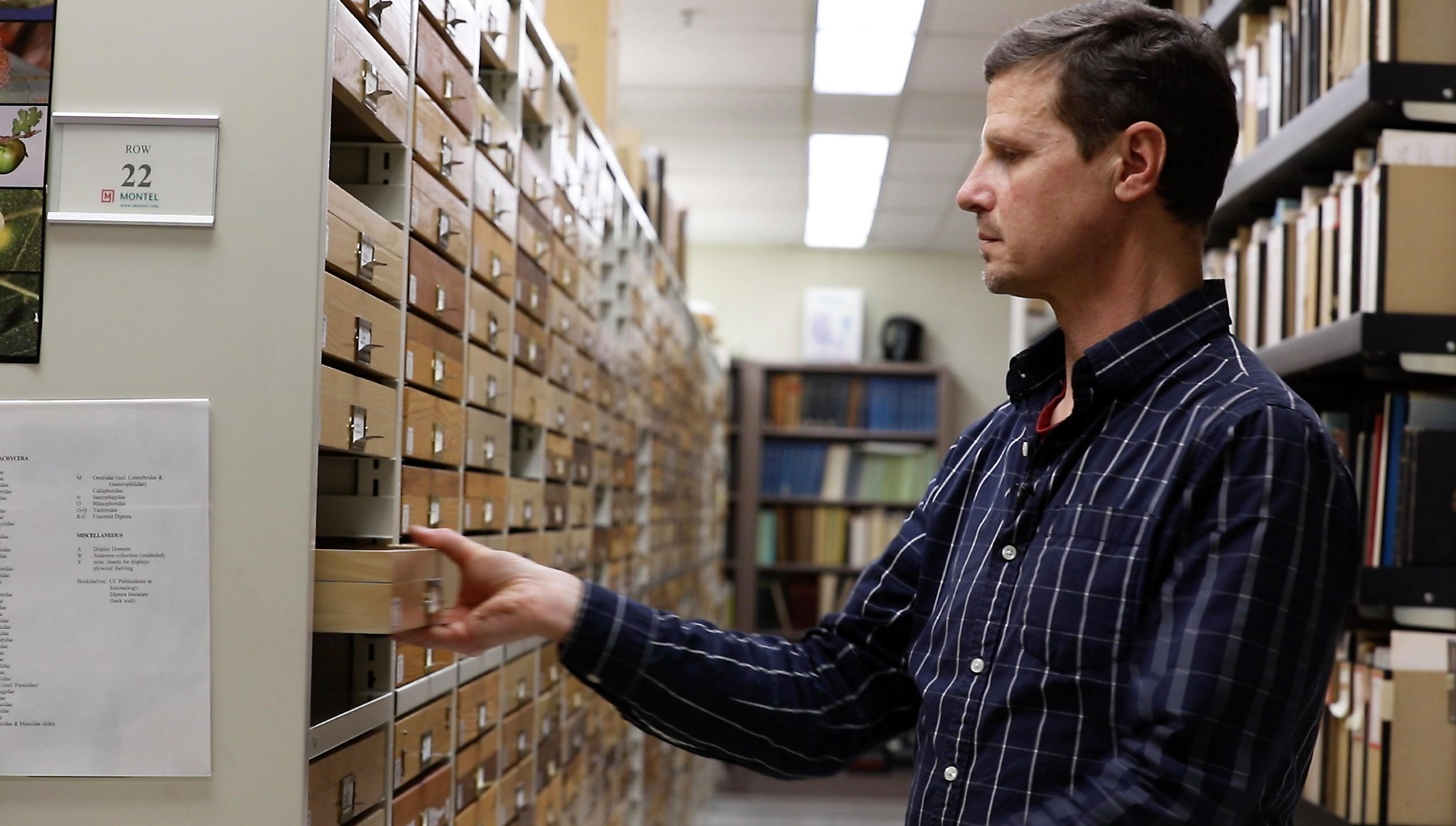 UC Berkeley insect expert eases bias against bugs