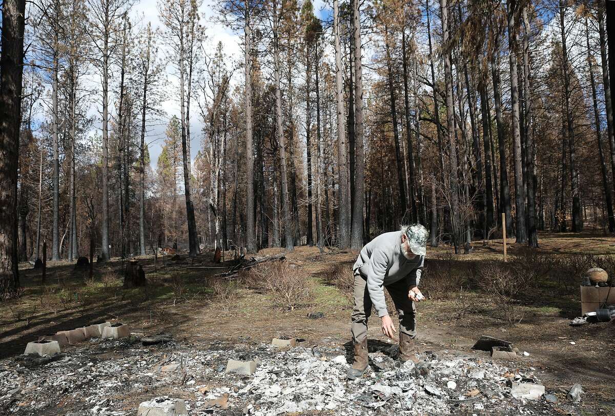 The farmer that saw his budding California tea farm go up in smoke