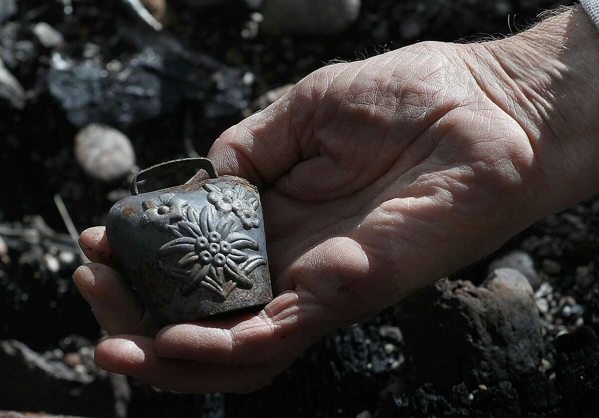 The farmer that saw his budding California tea farm go up in smoke