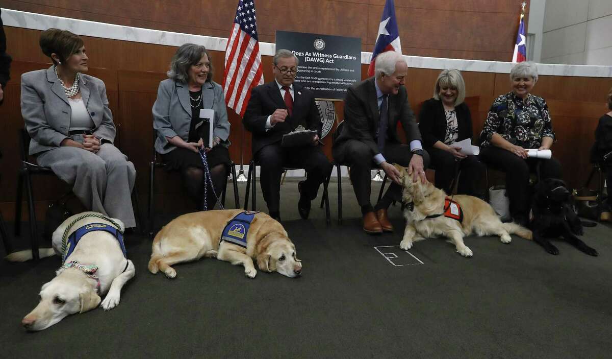 Officials in Houston tout law to allow support dogs in federal courtrooms