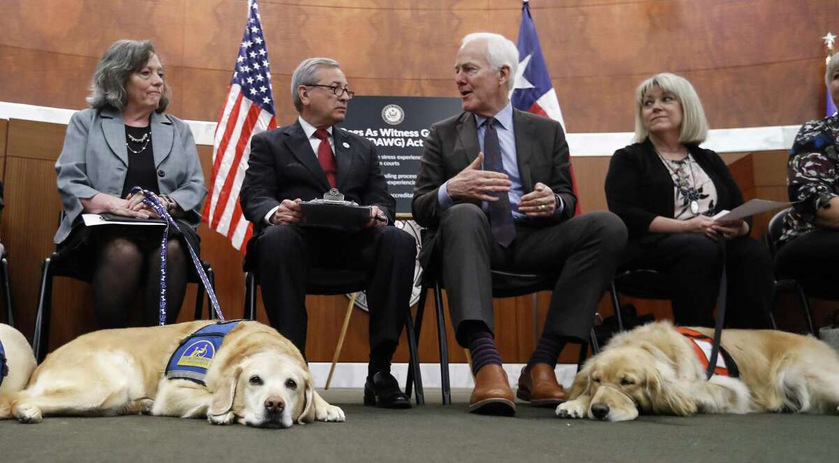 Officials in Houston tout law to allow support dogs in federal courtrooms
