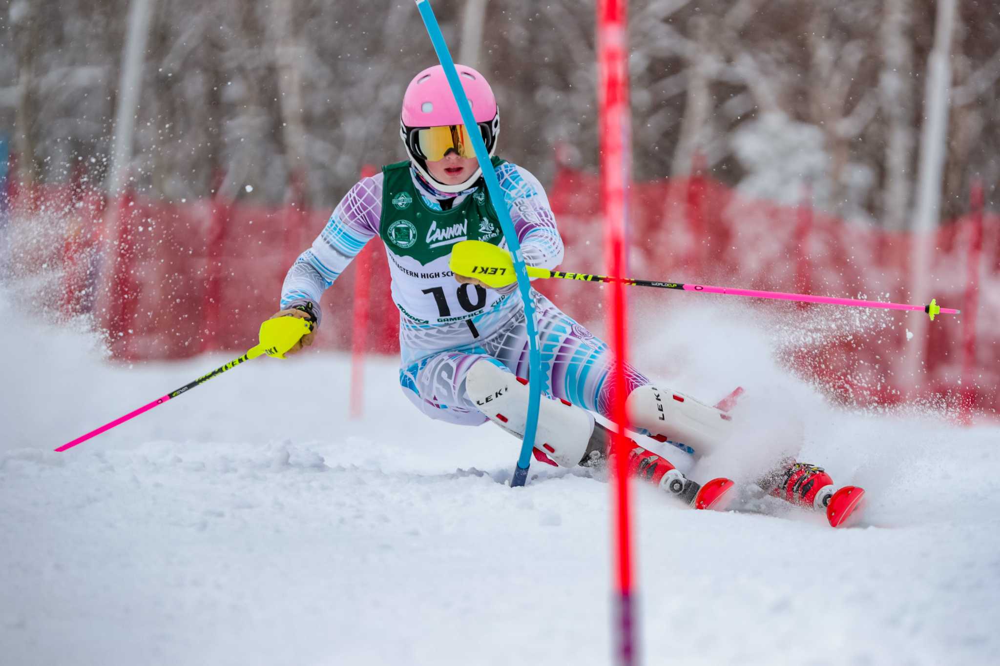 Nordic, Alpine skiing: 2019 all-stars, athletes of year