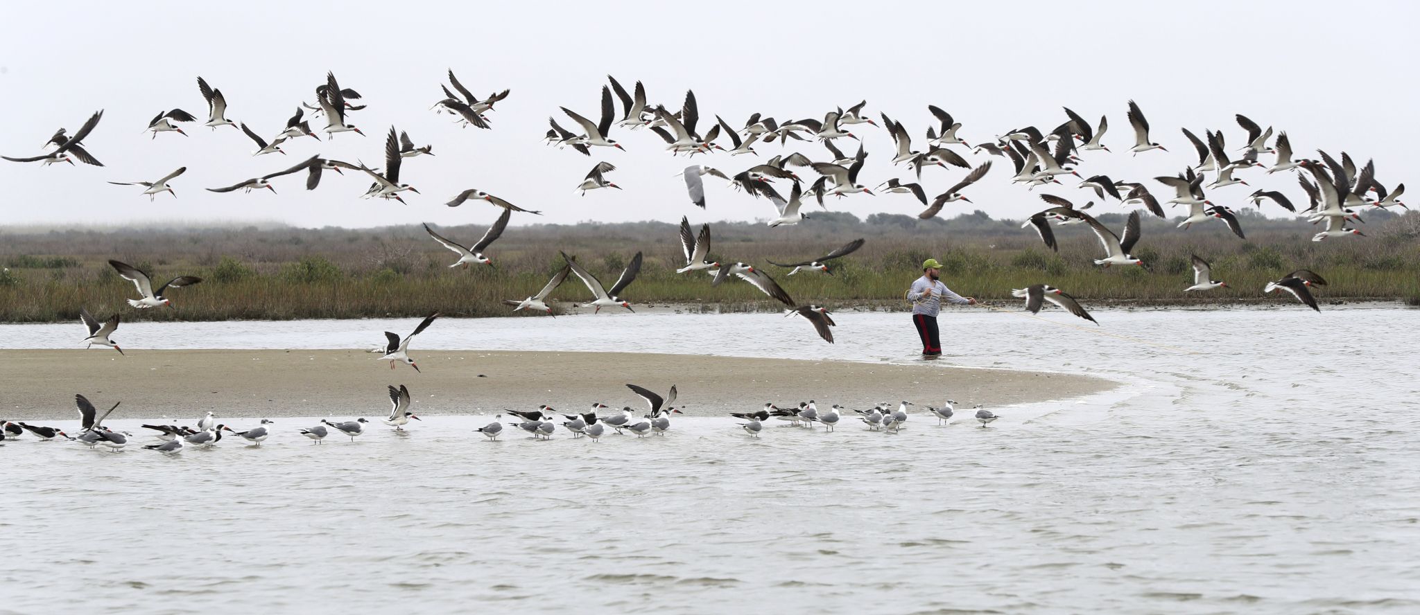 Galveston leaders earmark up to $400K for East End Lagoon development