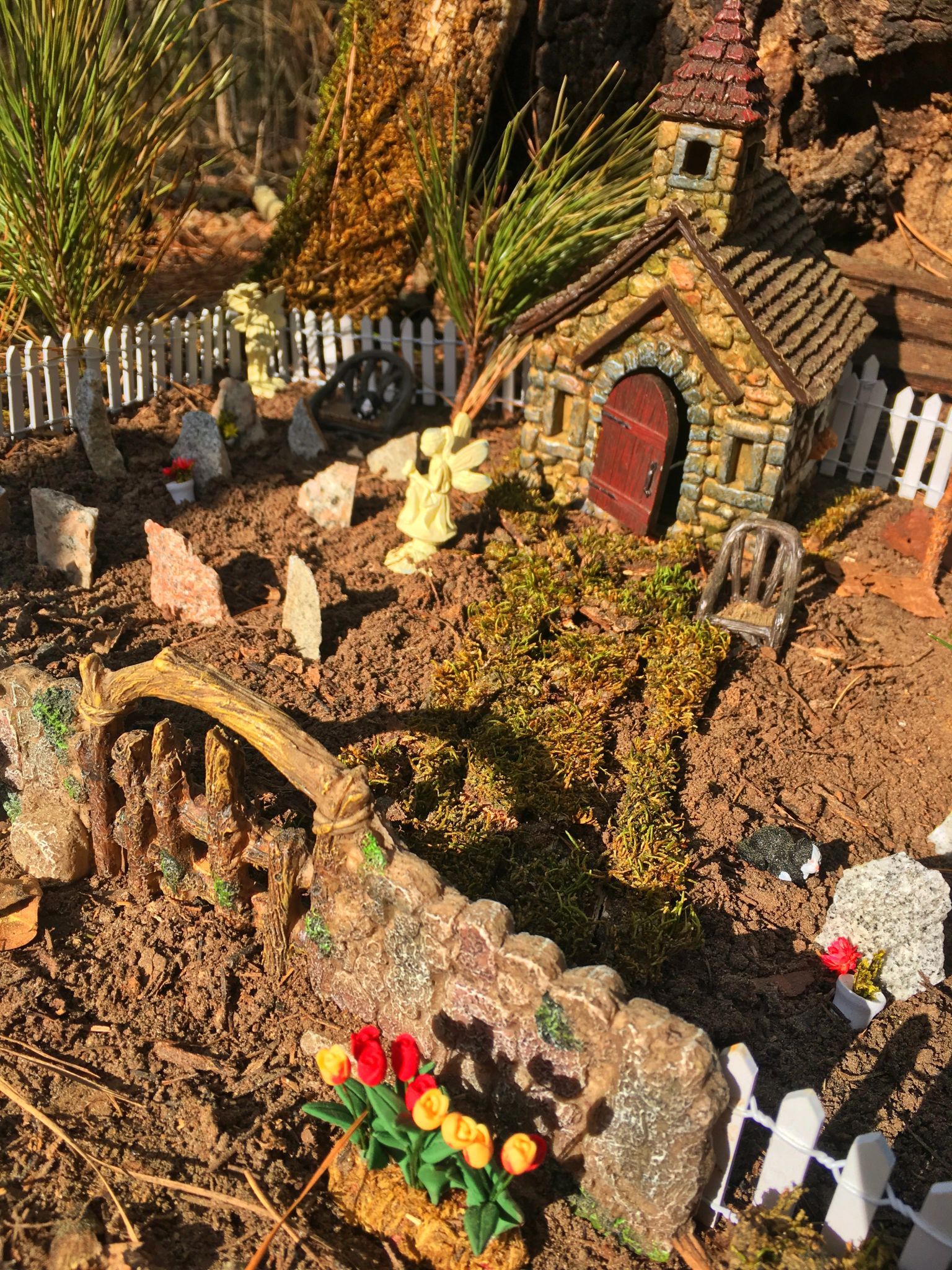 East Texas forest is home to a collection of tiny fairy gardens