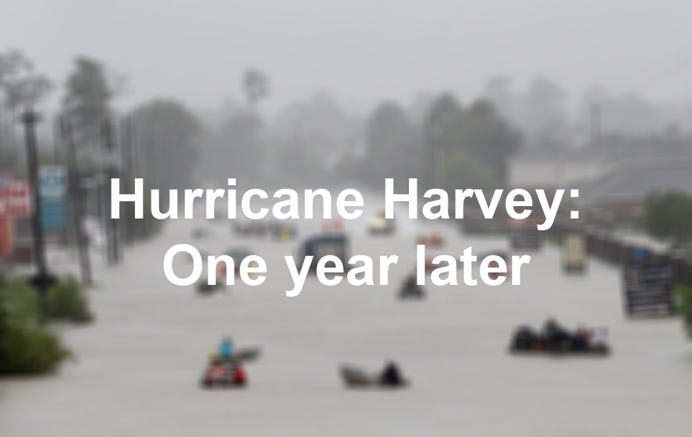 Hurricane Harvey: One year later